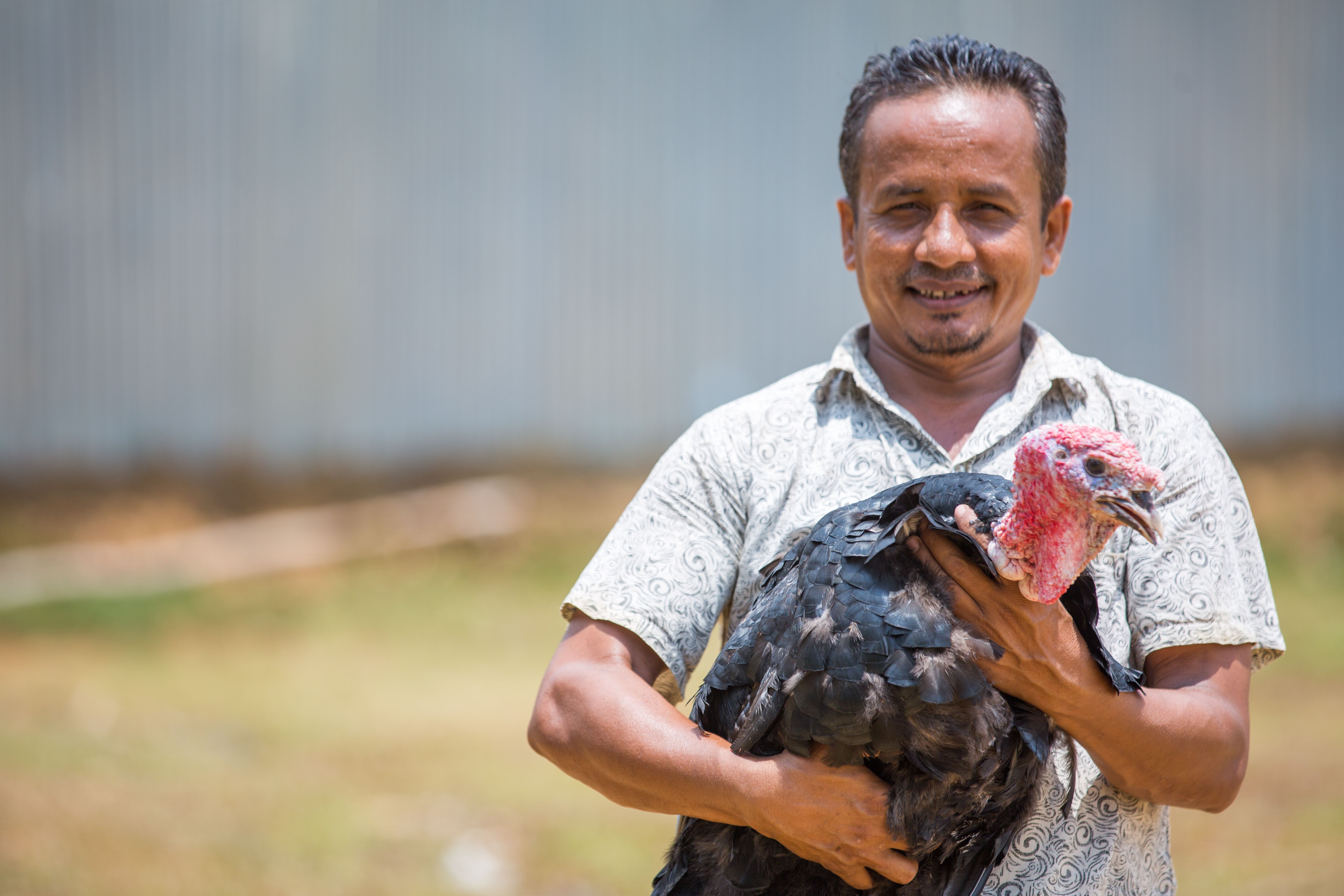 Man Holding Turkey Bird at Farm in Bangladesh · Free Stock Photo