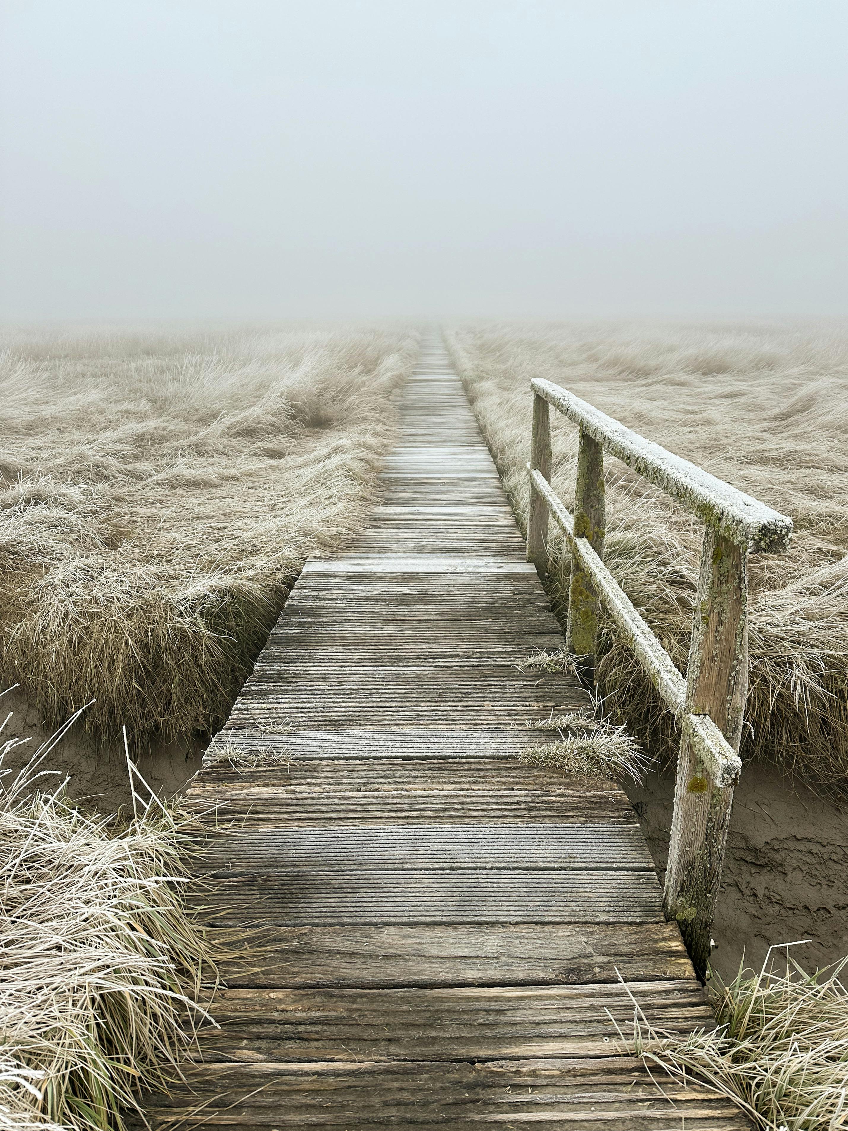 Materina Damp Photos, Download The BEST Free Materina Damp Stock Photos ...