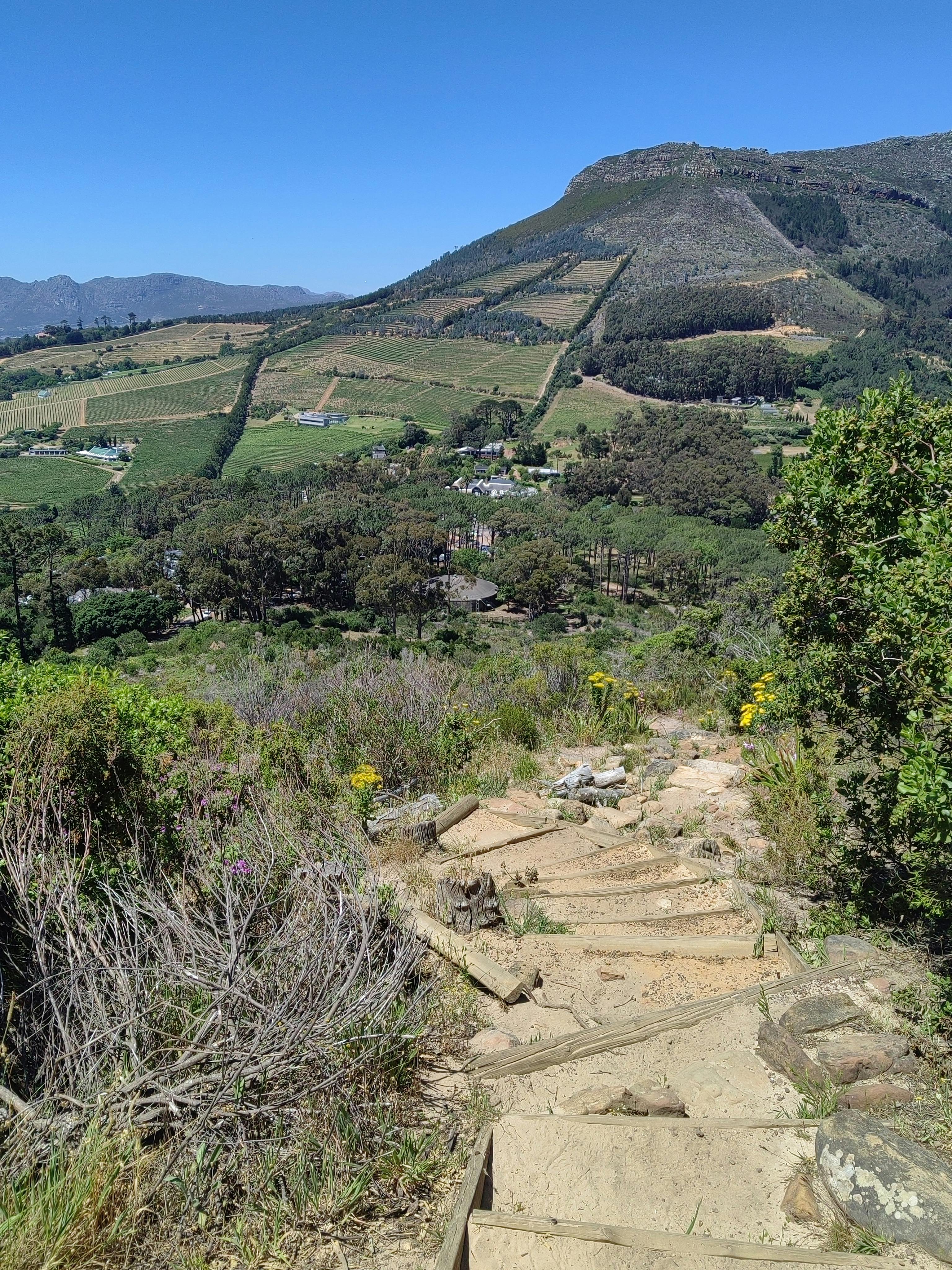 Xtremestream+Video+Downloader Photos, Download The BEST Free ...