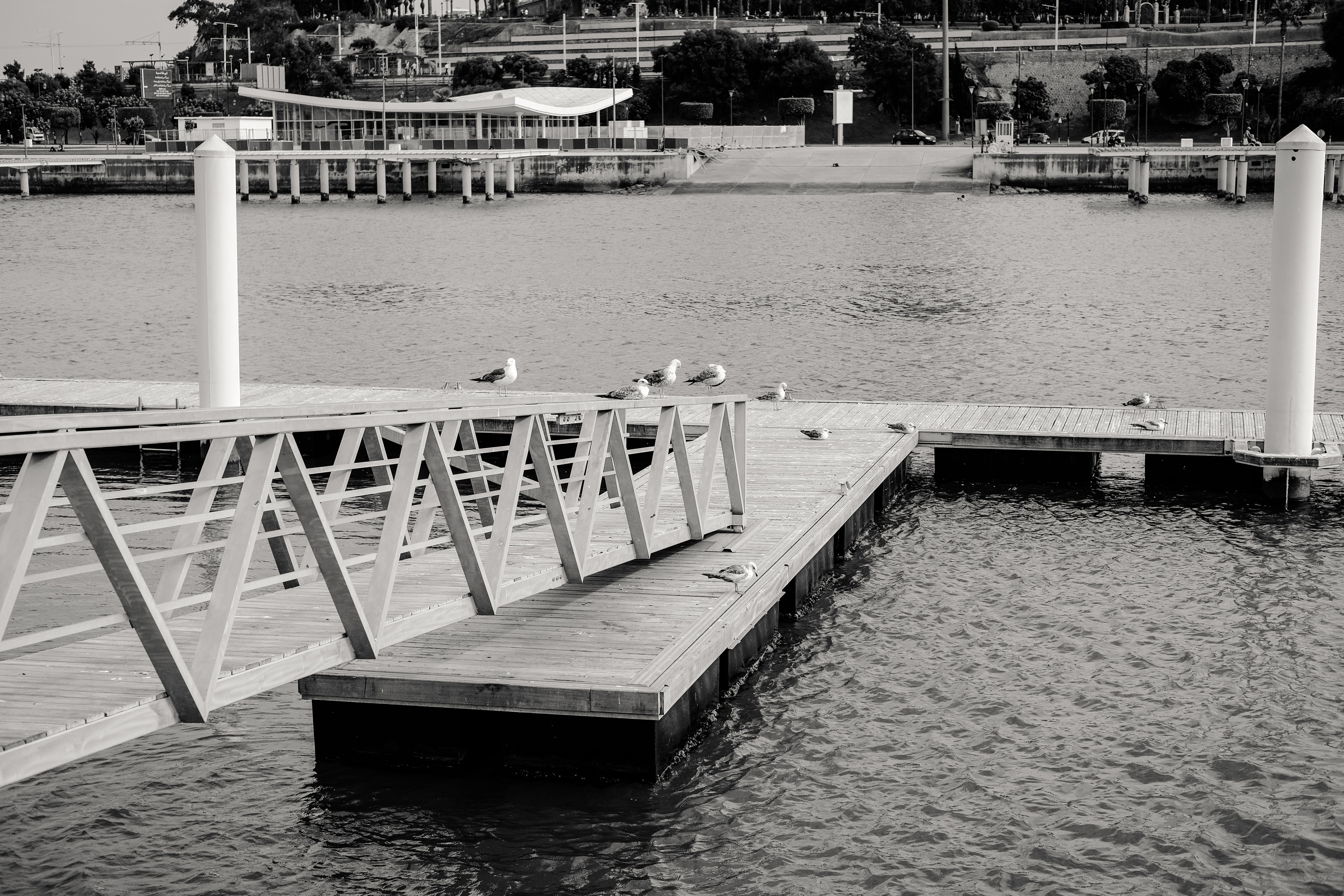 Black and White Waterfront Dock in Rabat · Free Stock Photo