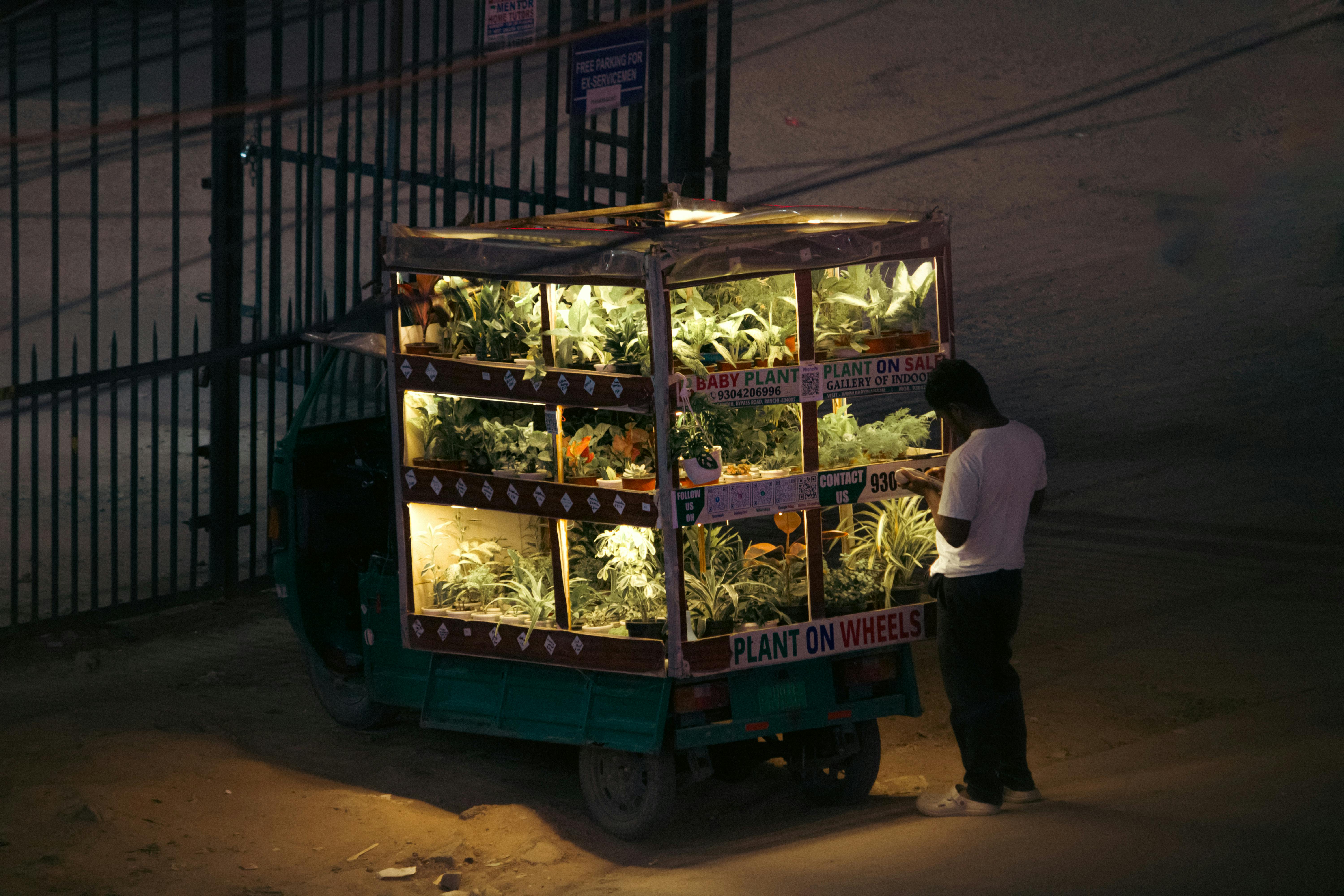 Green Stalls Photos, Download The BEST Free Green Stalls Stock Photos ...