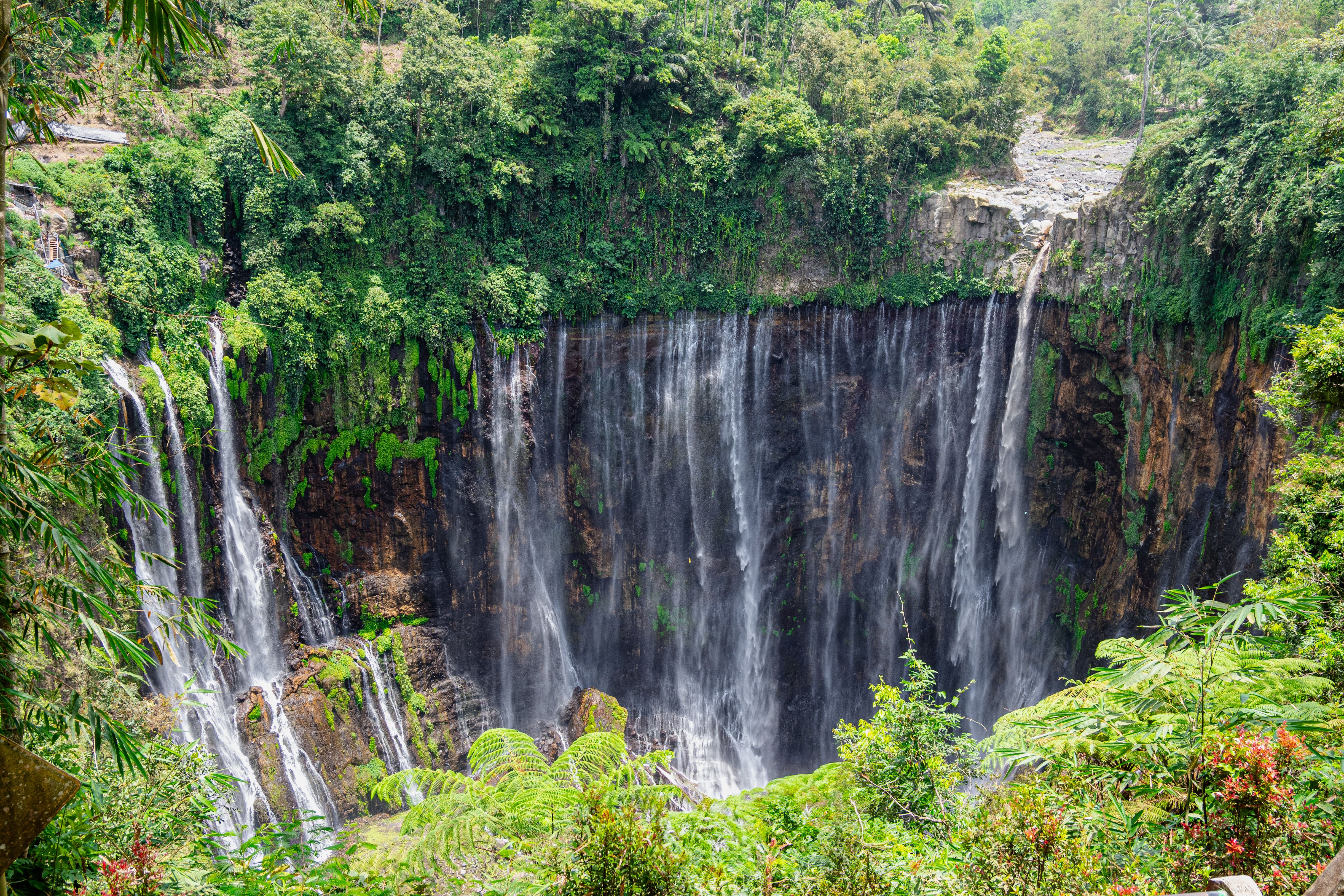 Tumpak Sewu Waterfall in Lush Java Jungle · Free Stock Photo