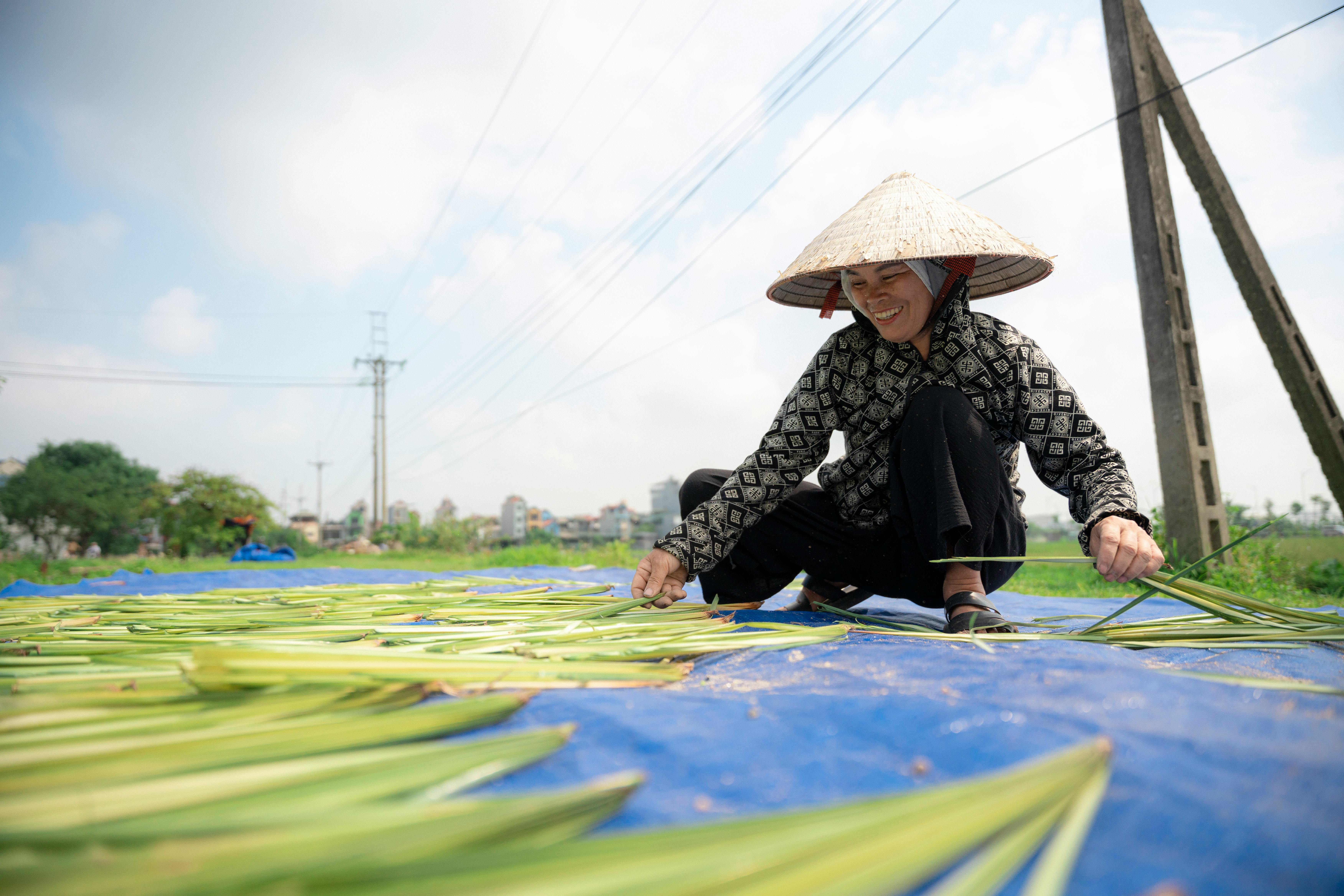 Pfps+That+Go+Hard Photos, Download The BEST Free Pfps+That+Go+Hard ...