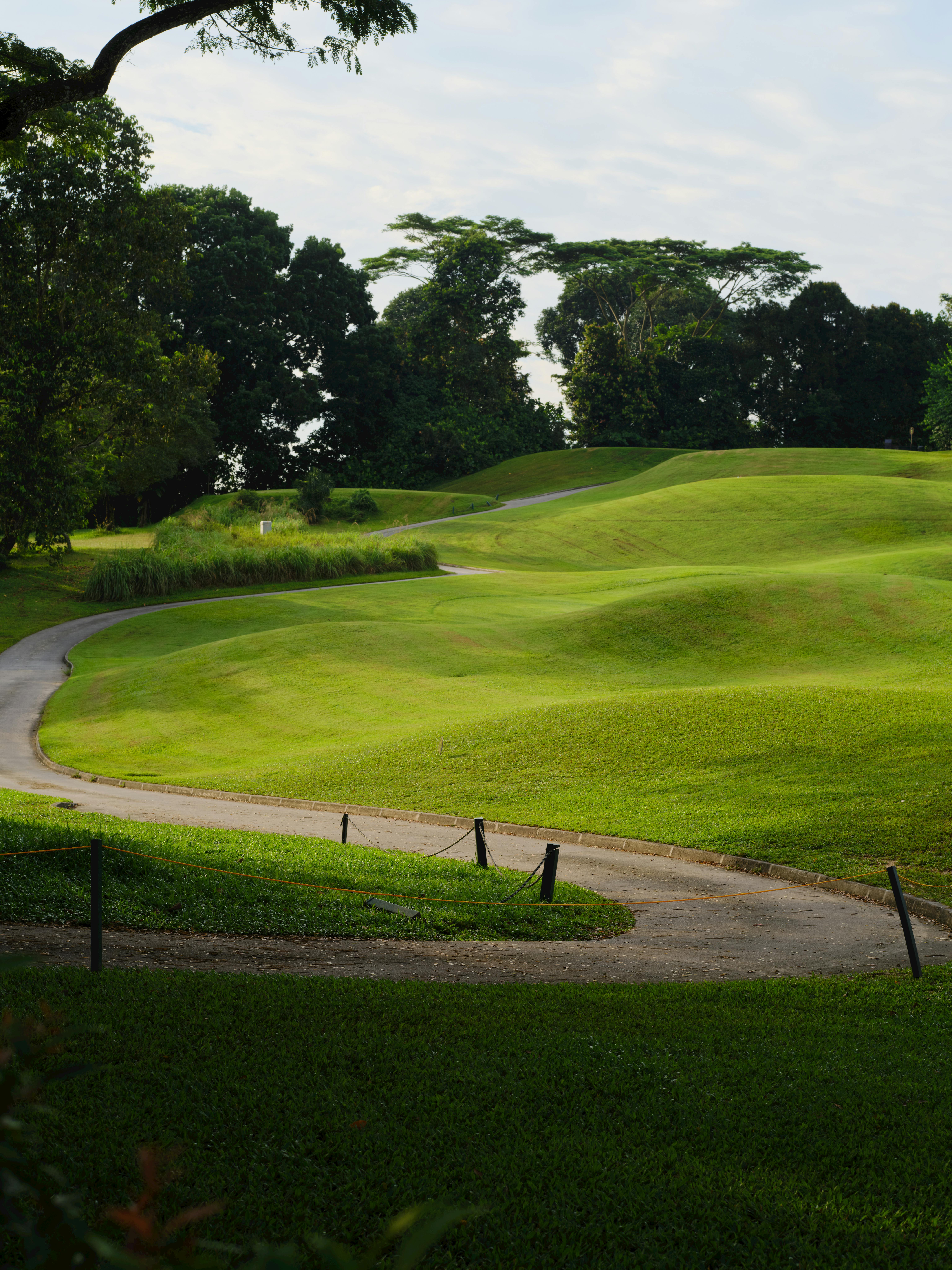 Serene Golf Course Landscape in Summer · Free Stock Photo