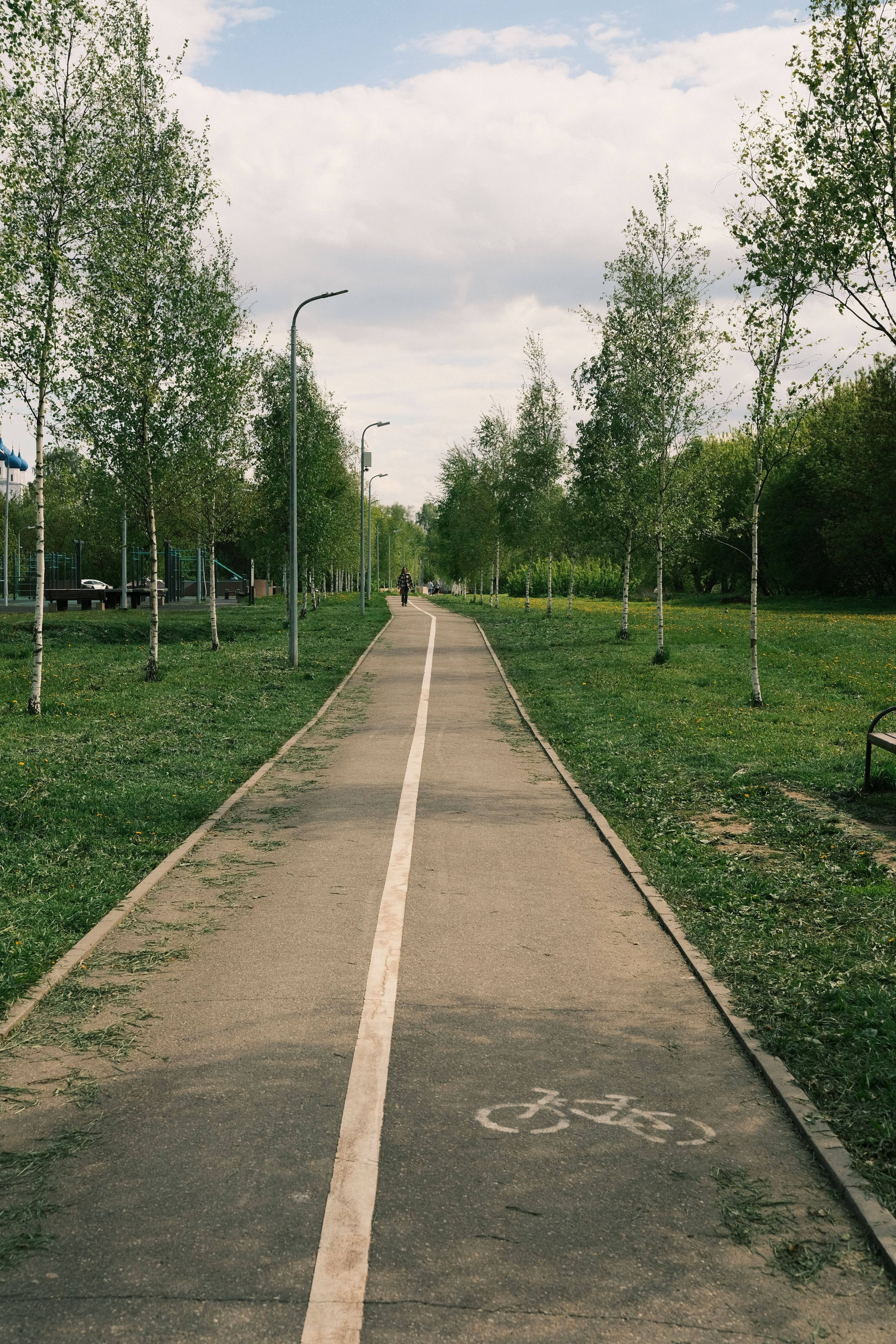 Serene bike path through green park landscape · Free Stock Photo