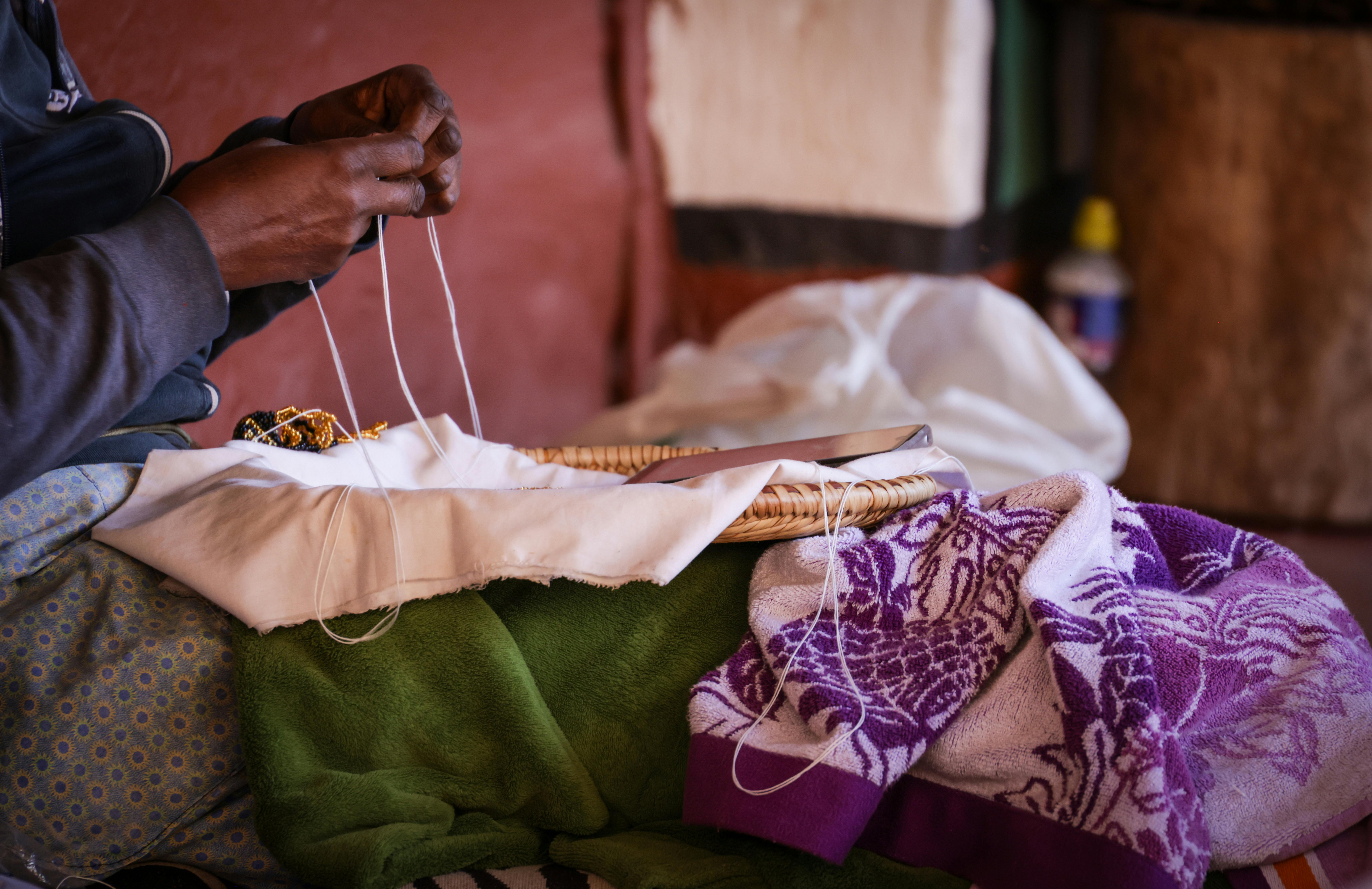 Beeding Photos, Download The BEST Free Beeding Stock Photos & HD Images