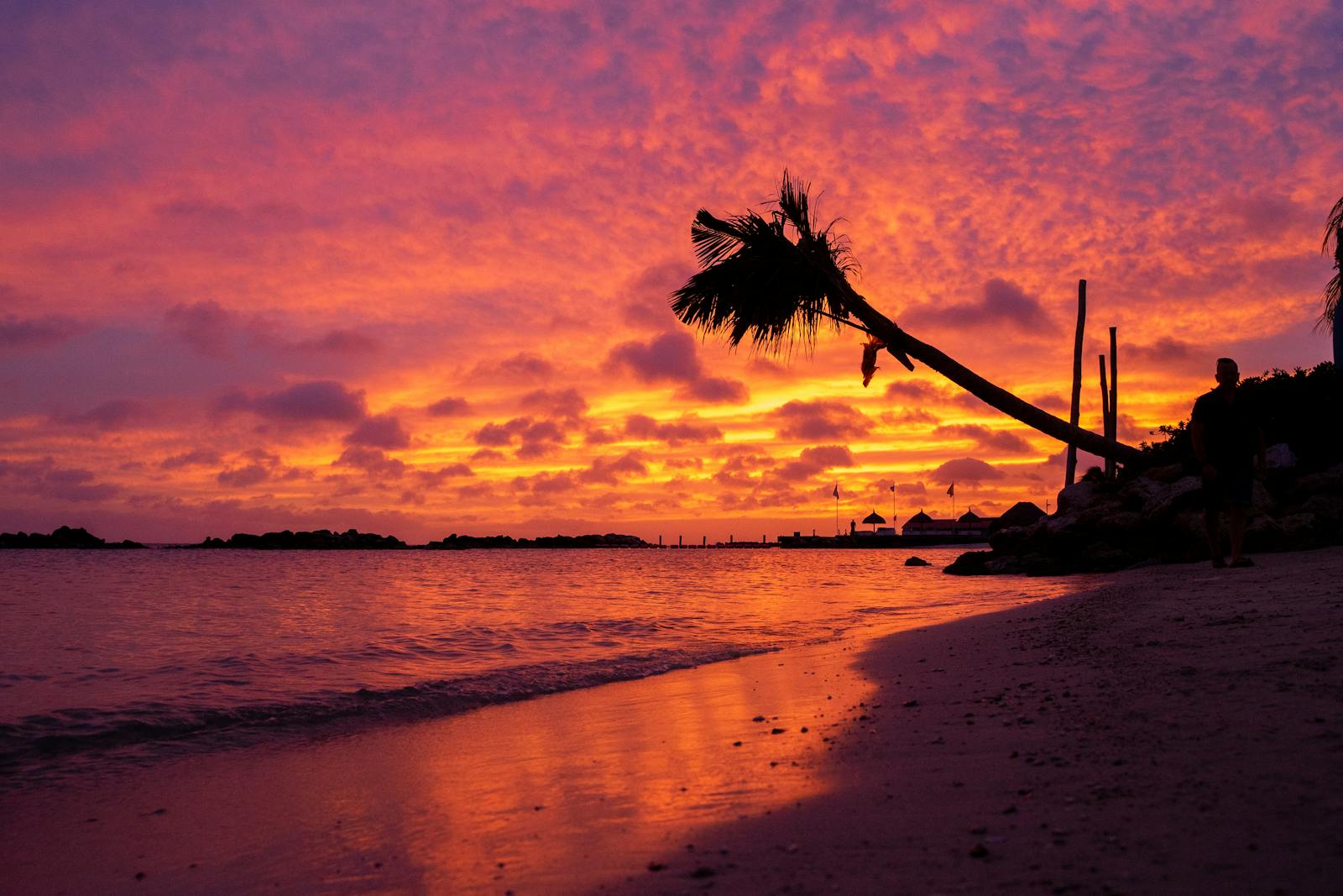 Curacao Photos, Download The BEST Free Curacao Stock Photos & HD Images