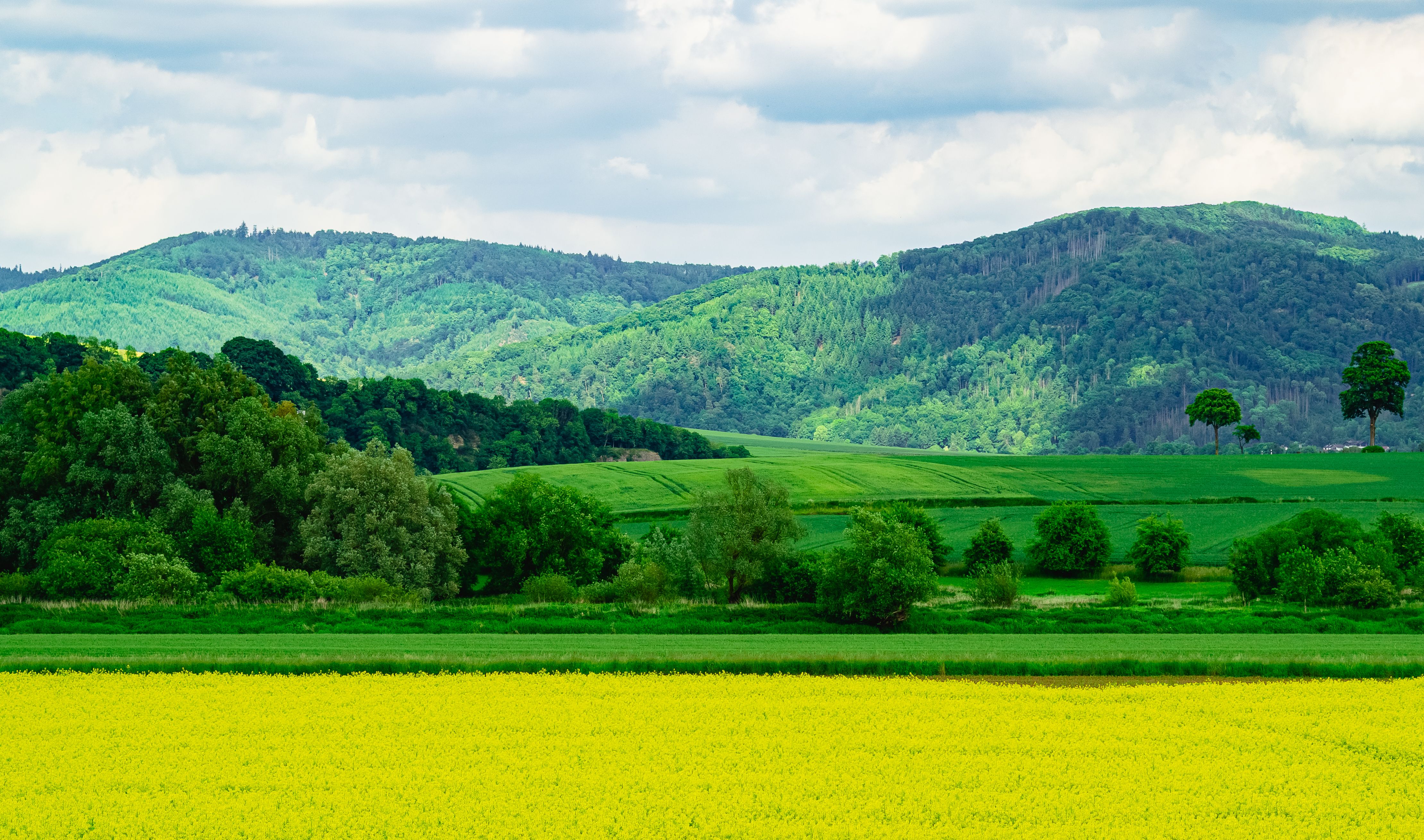 Lush Green Hills and Vibrant Yellow Field · Free Stock Photo