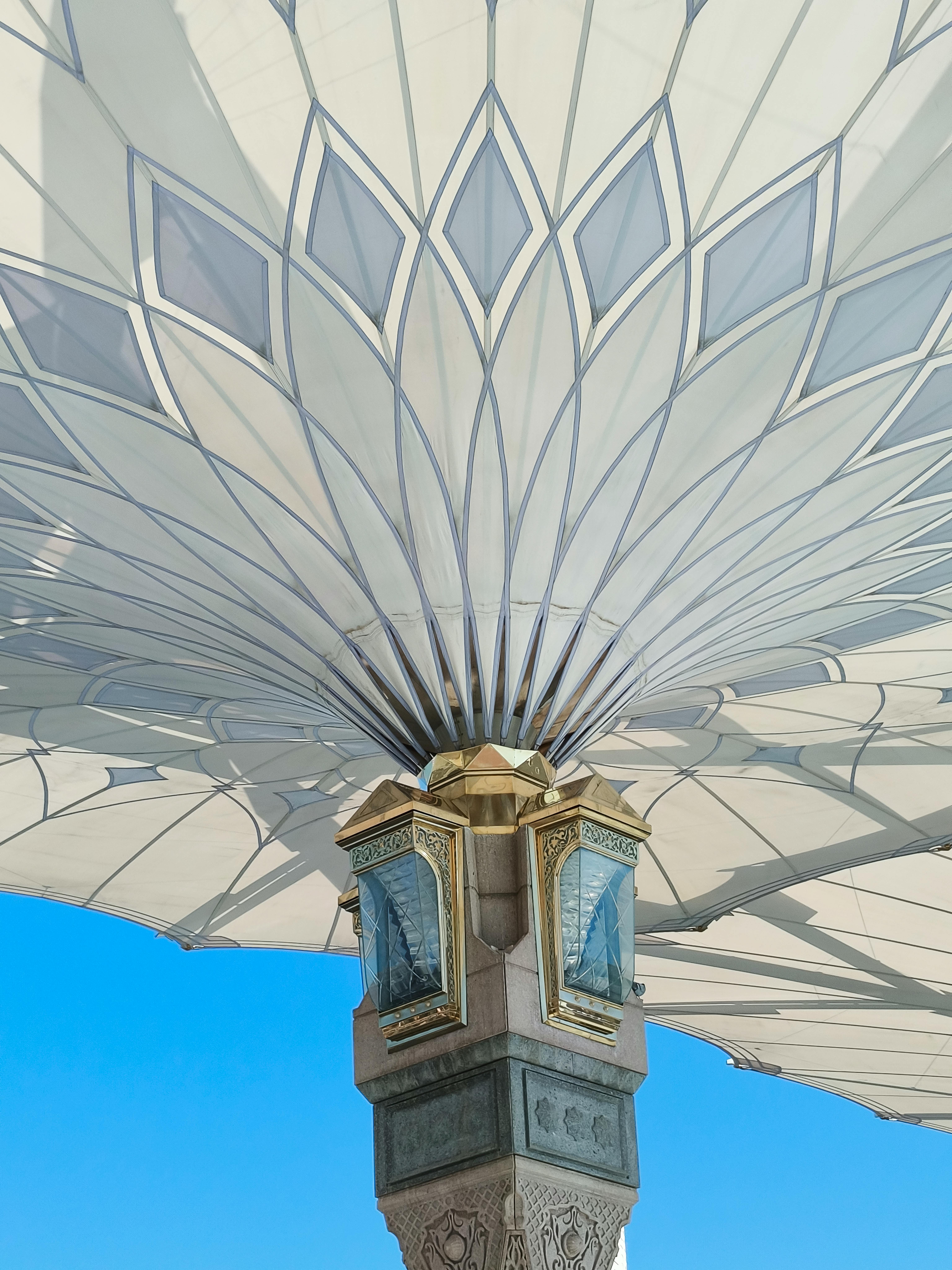 Slime Shade Photos, Download The BEST Free Slime Shade Stock Photos ...