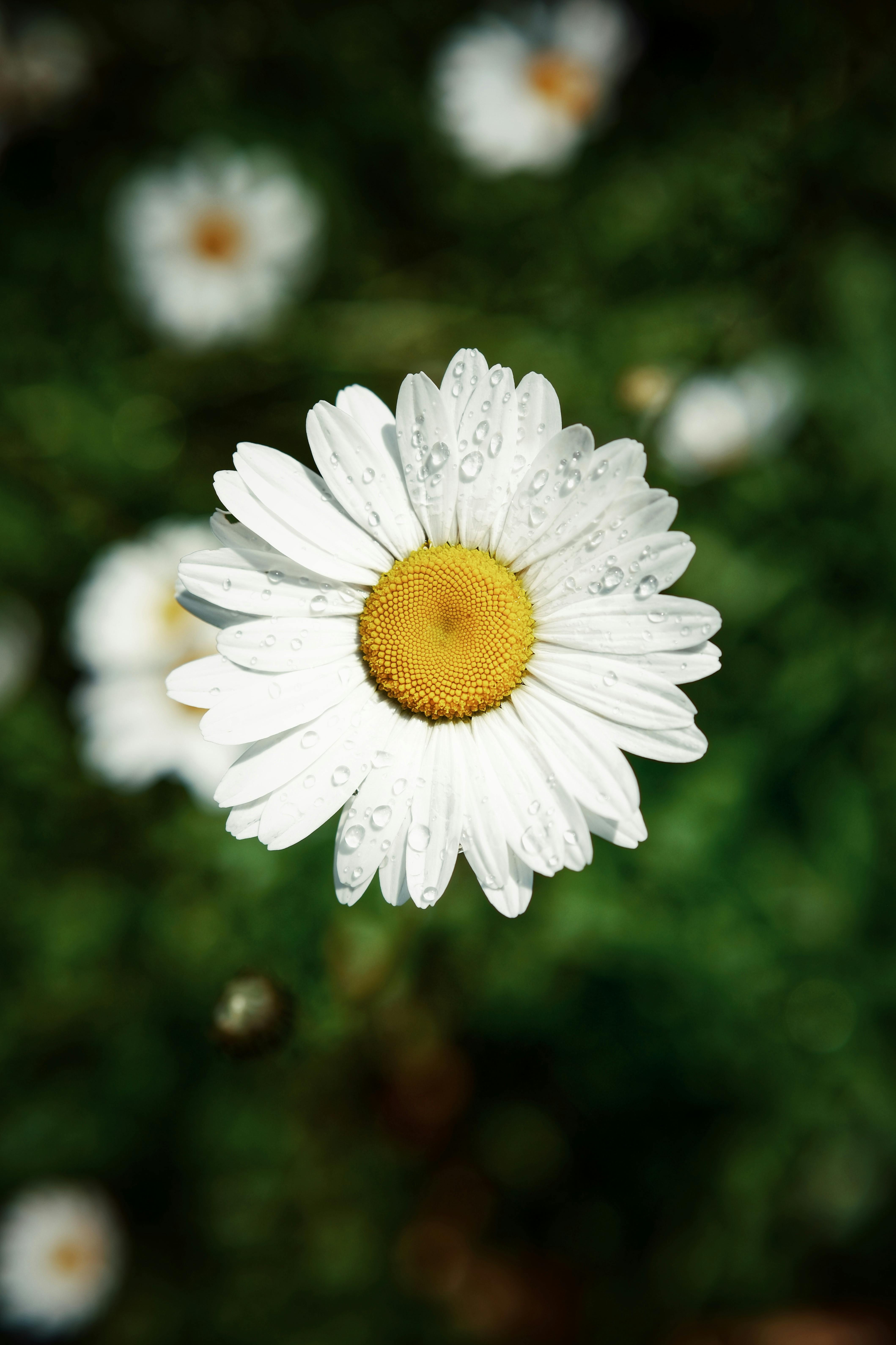 10mb Image Photos, Download The BEST Free 10mb Image Stock Photos & HD ...