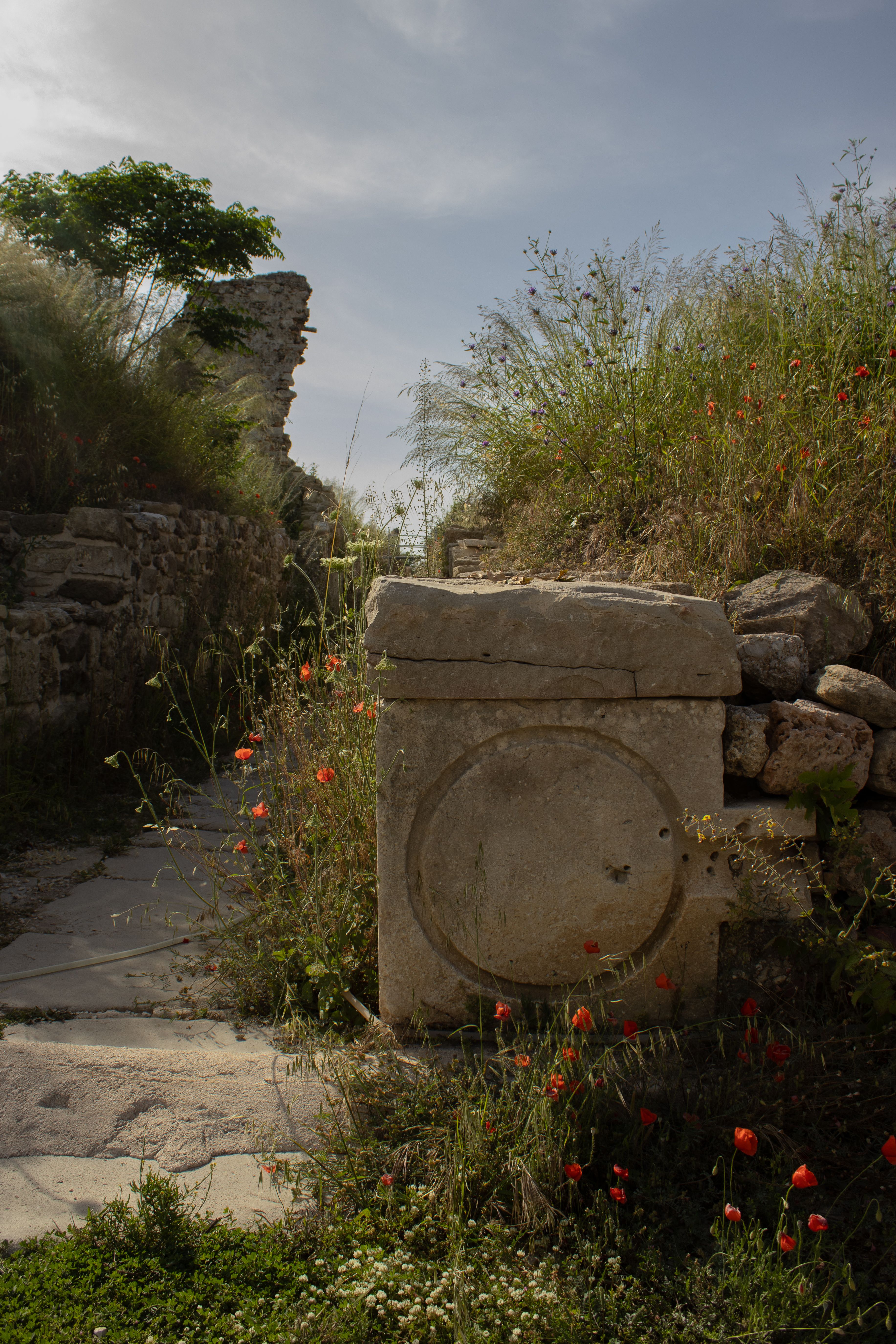 Ancient Ruin Pathway with Wildflowers · Free Stock Photo