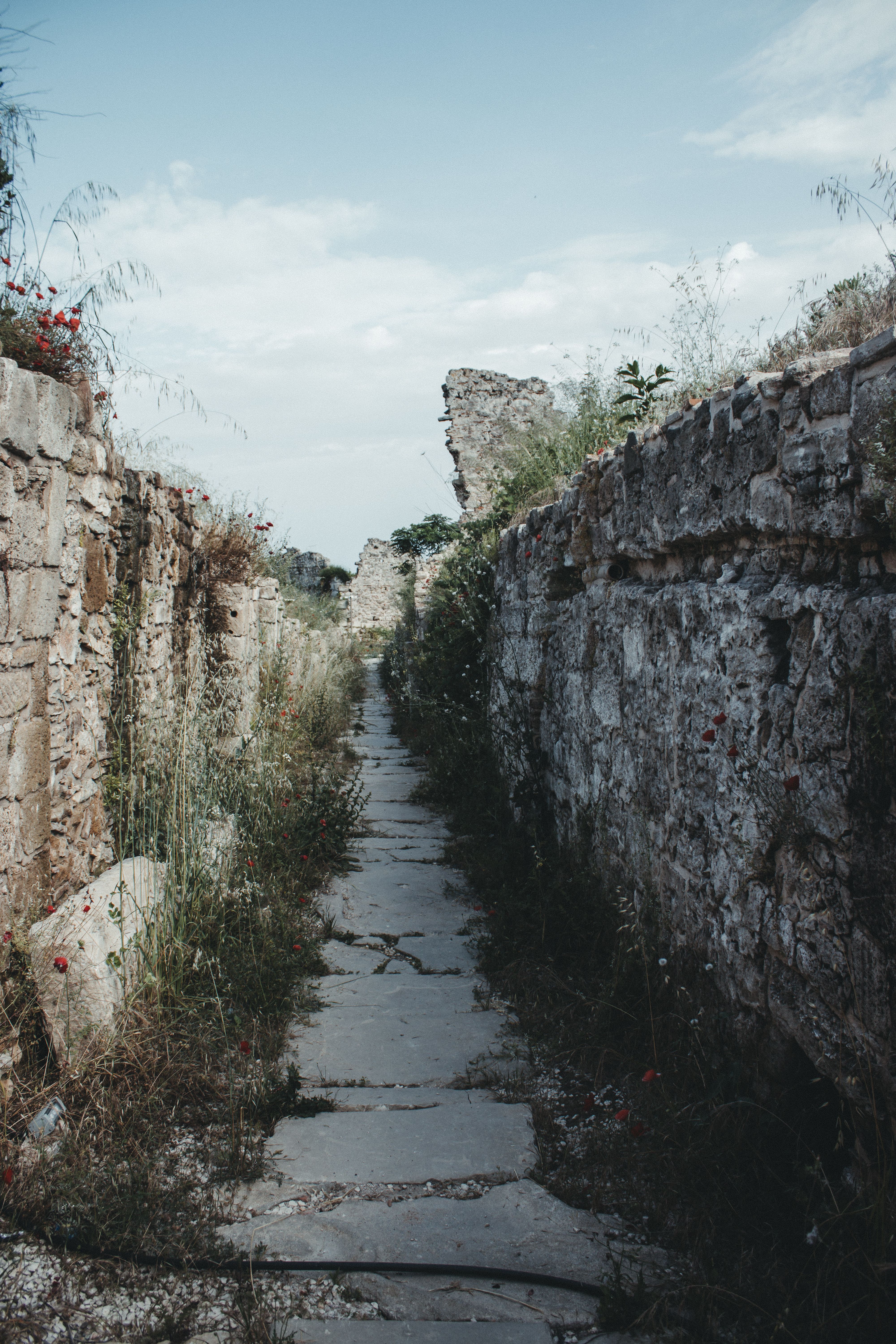 Ancient Stone Pathway in Historical Ruins · Free Stock Photo