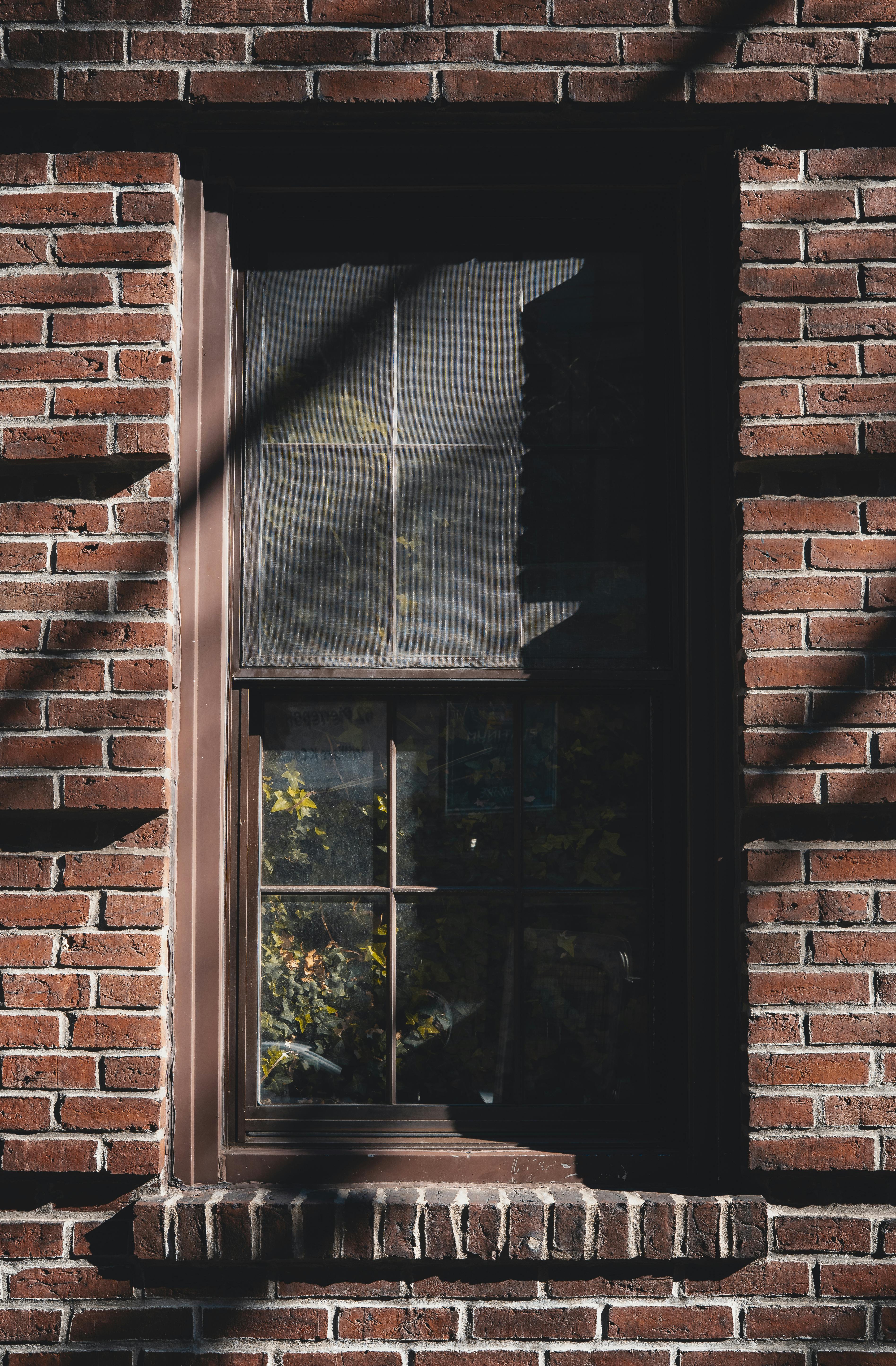 Rectangular Photos, Download The BEST Free Rectangular Stock Photos ...