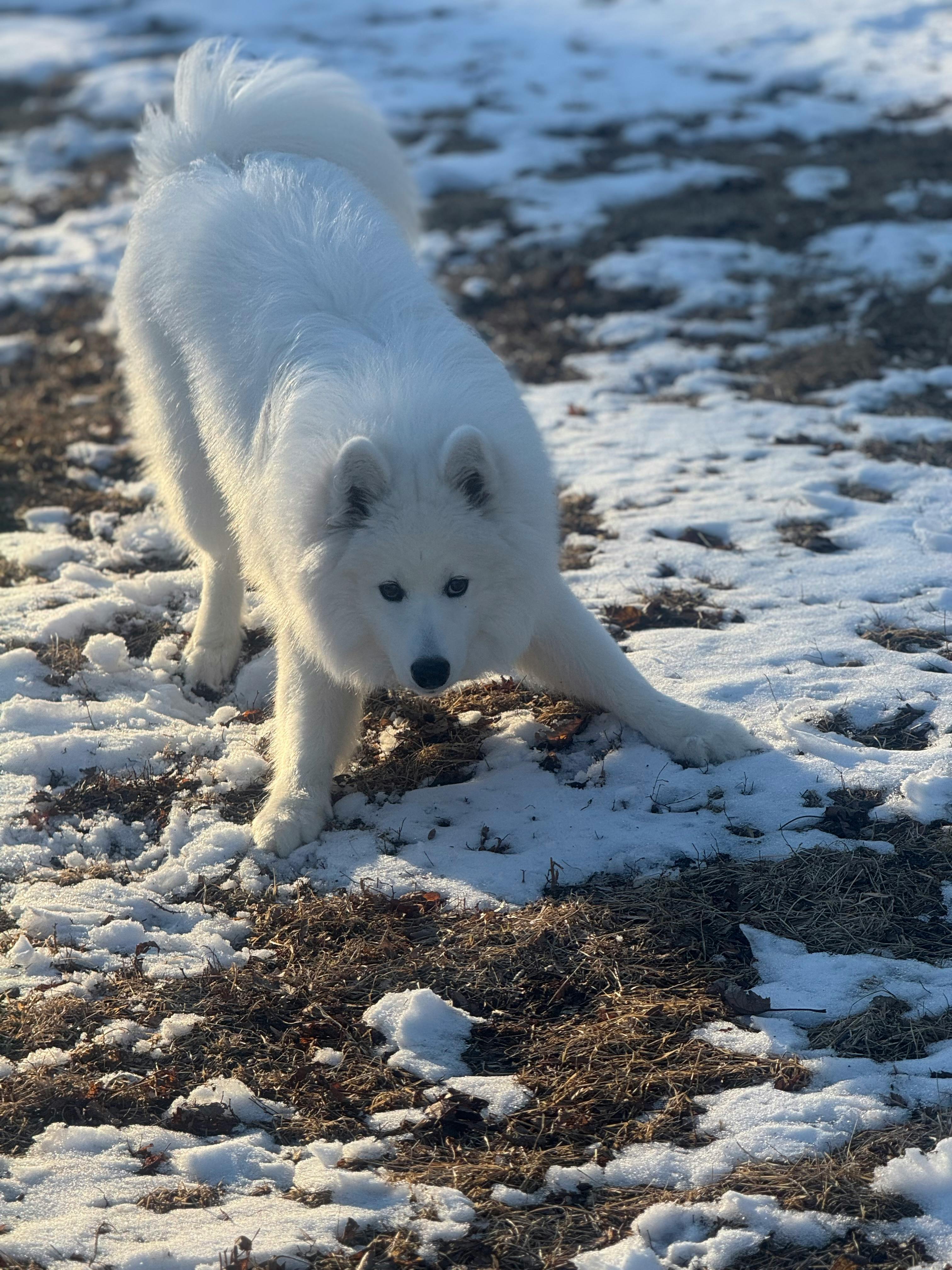 50+ Fido+bokep+orng+keredil Bilder und Fotos · Kostenlos Downloaden · Pexels Stock-Fotos