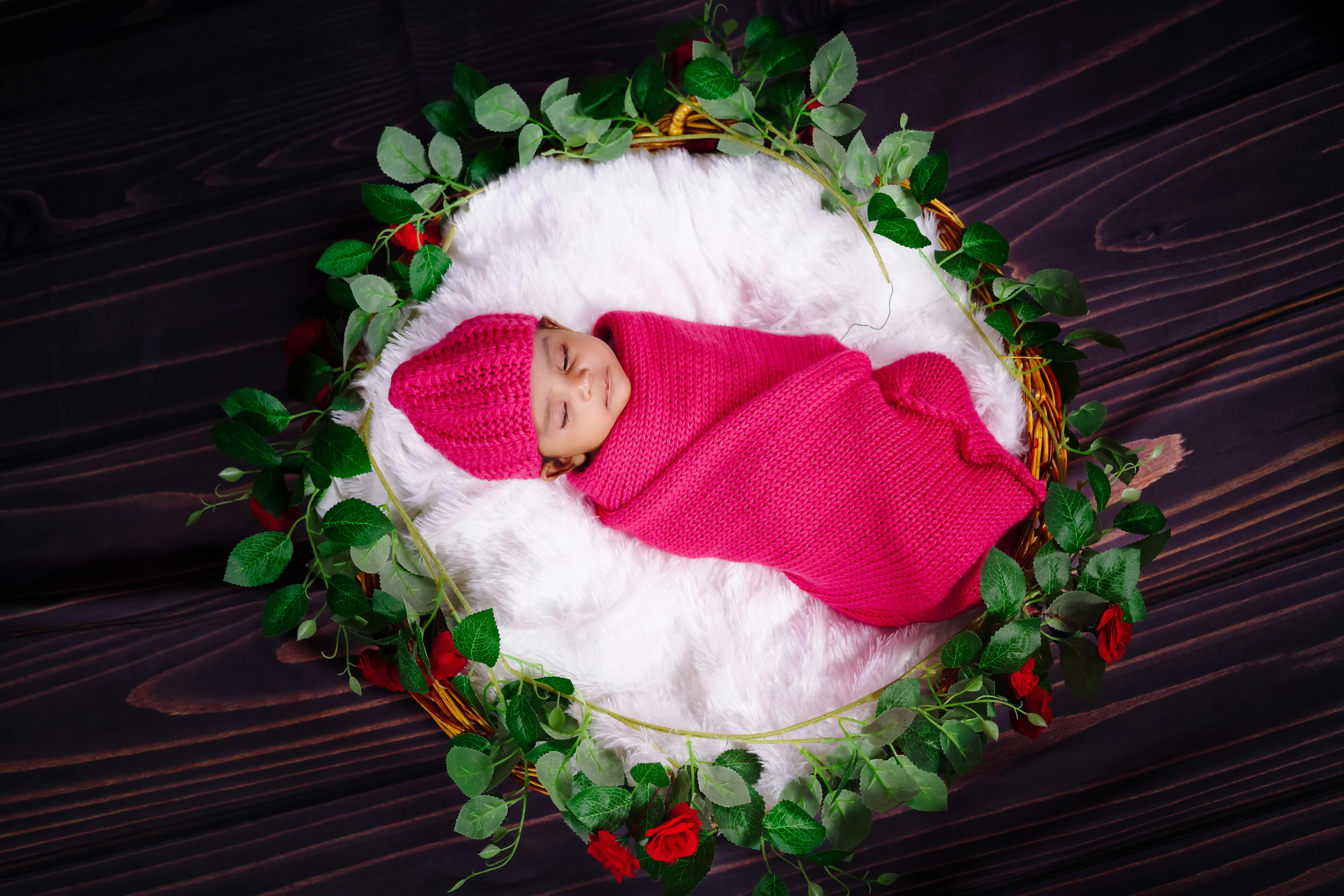 New Life Photos, Download The BEST Free New Life Stock Photos & HD Images