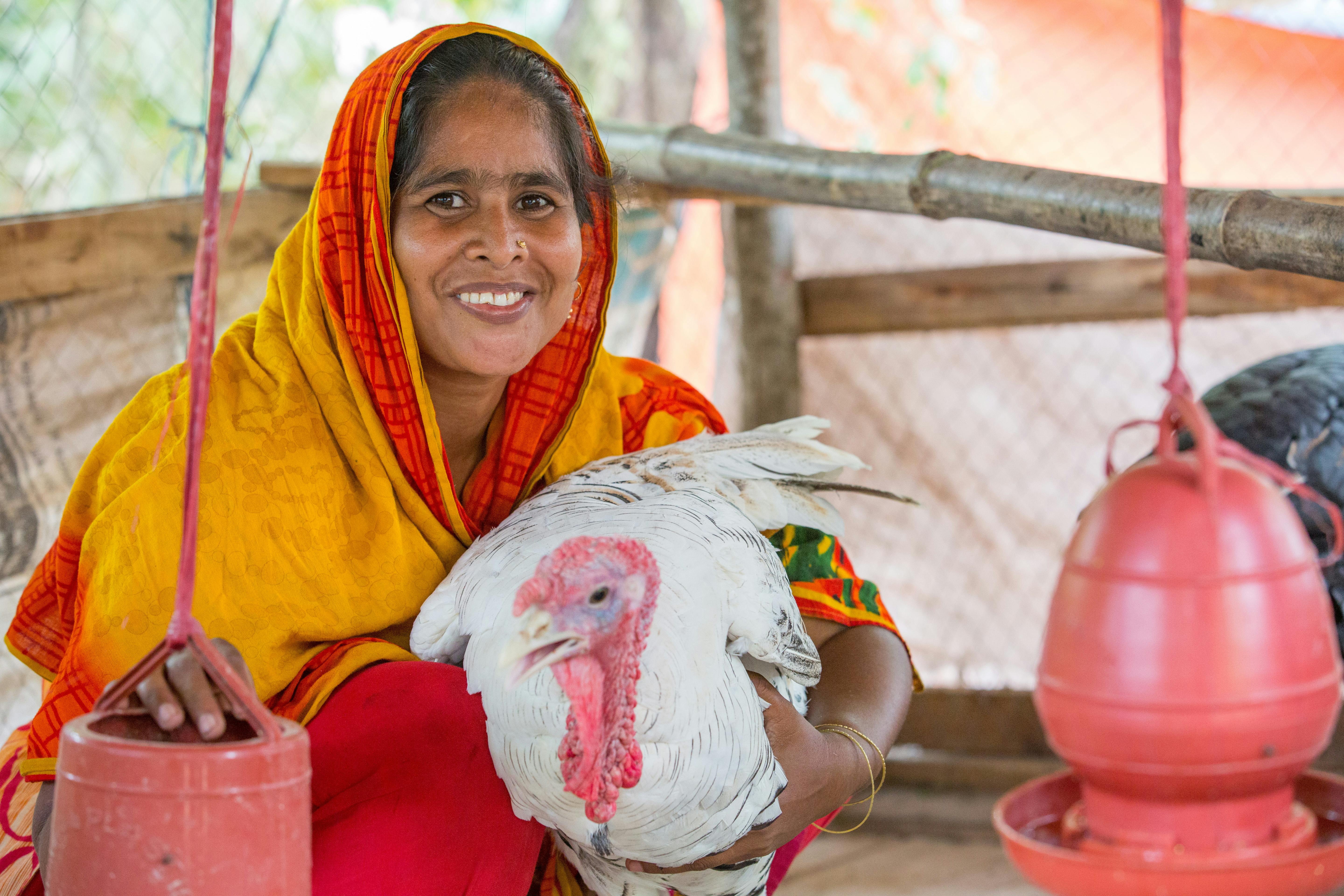 Permainan Barn Human Photos, Download The BEST Free Permainan Barn ...