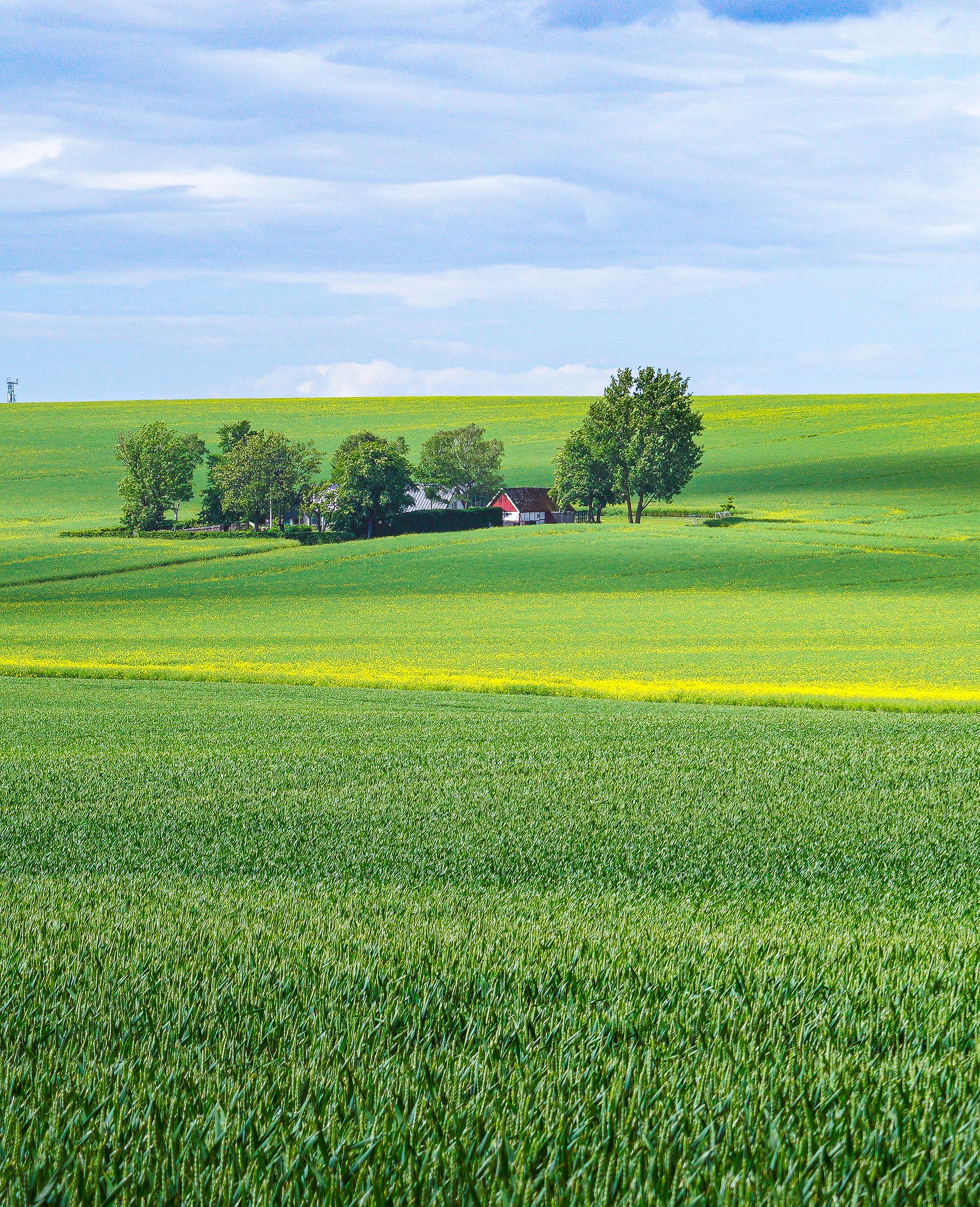 Idyllic Green Field with Rural Farmhouse · Free Stock Photo