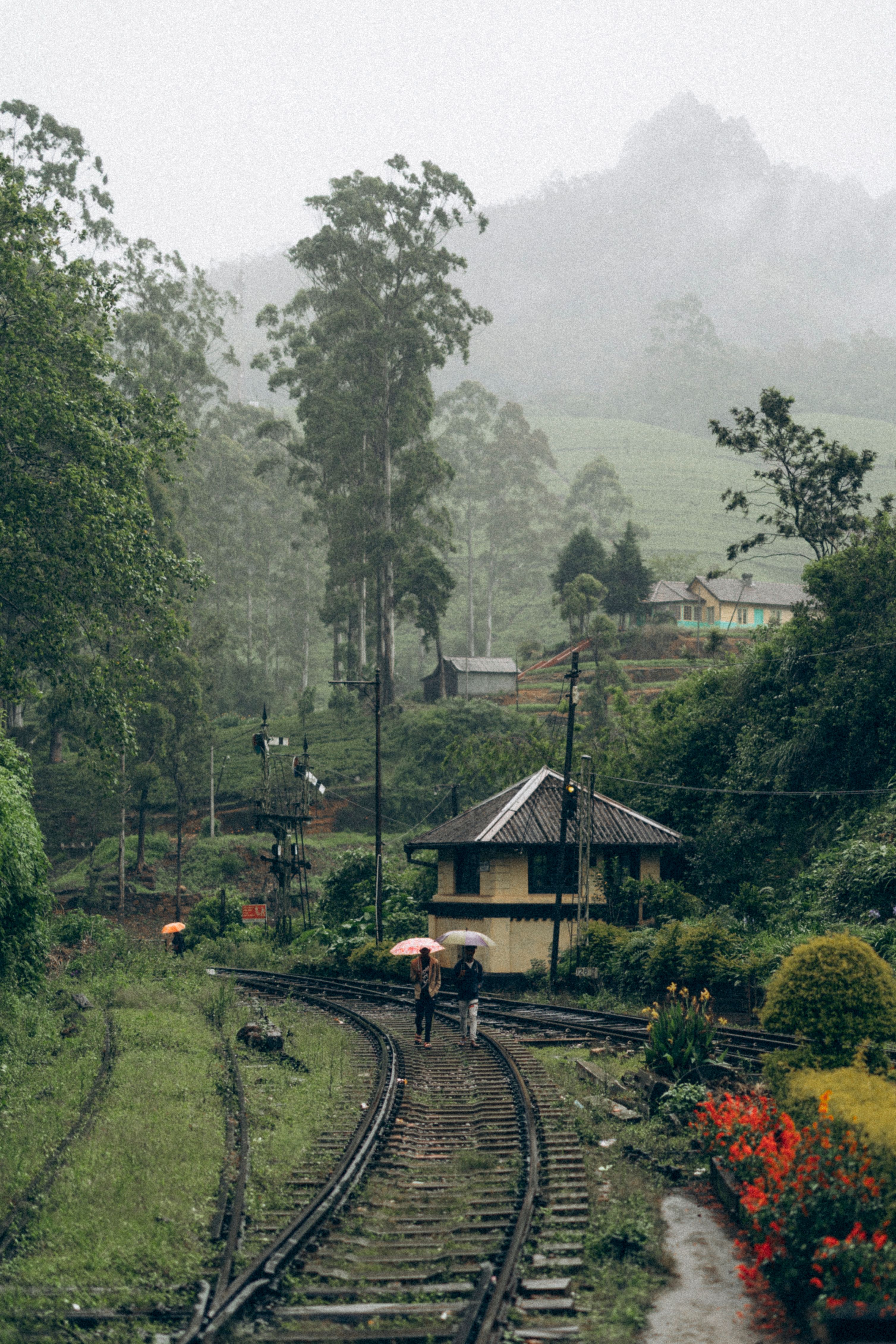Srilanka Background Photos, Download The BEST Free Srilanka Background ...