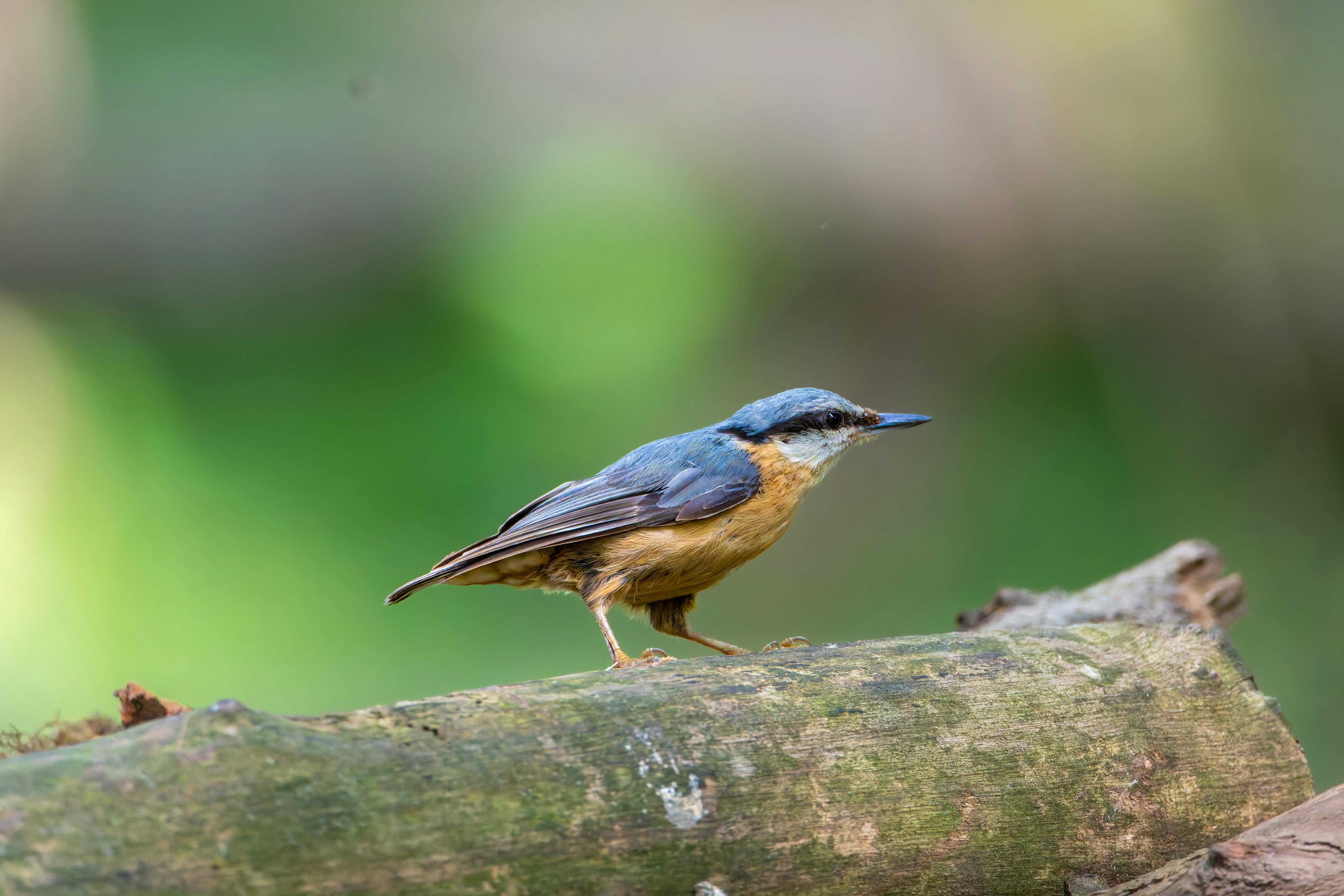 Study Relative Wallpaper Photos, Download The BEST Free Study Relative ...