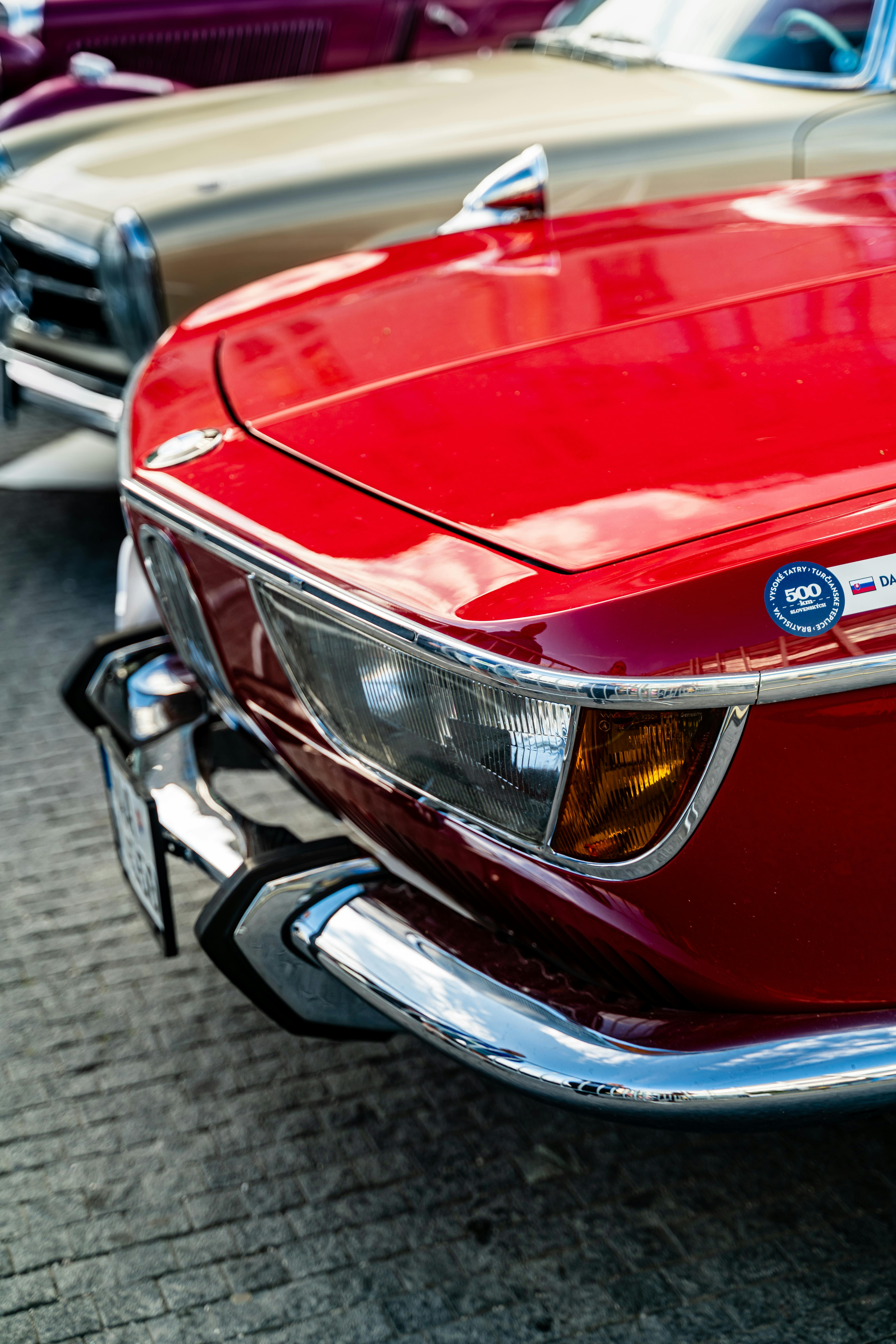 5 Horses 8k Wallpaper Photos, Download The BEST Free 5 Horses 8k ...