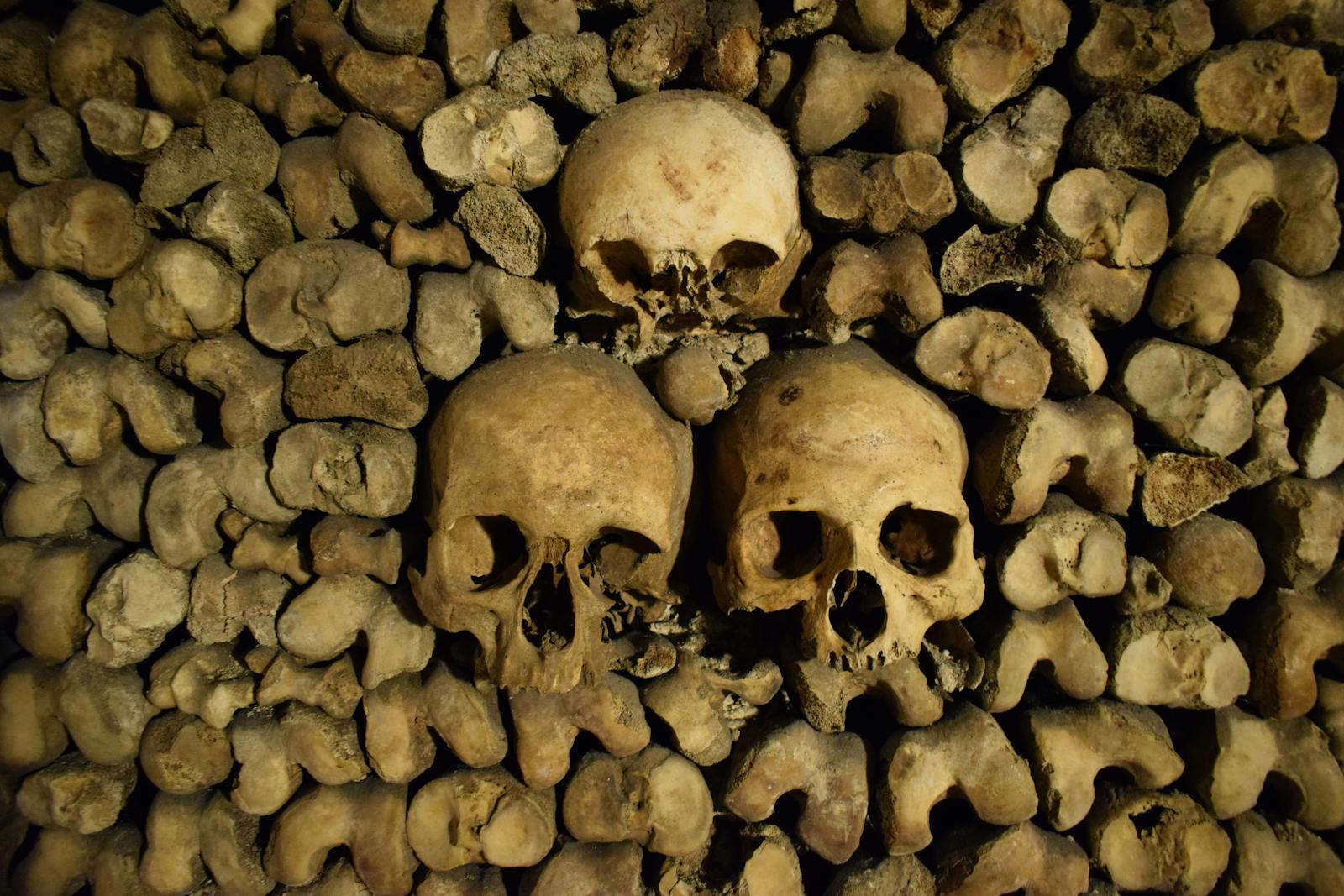 Catacombs Photos, Download The BEST Free Catacombs Stock Photos & HD Images