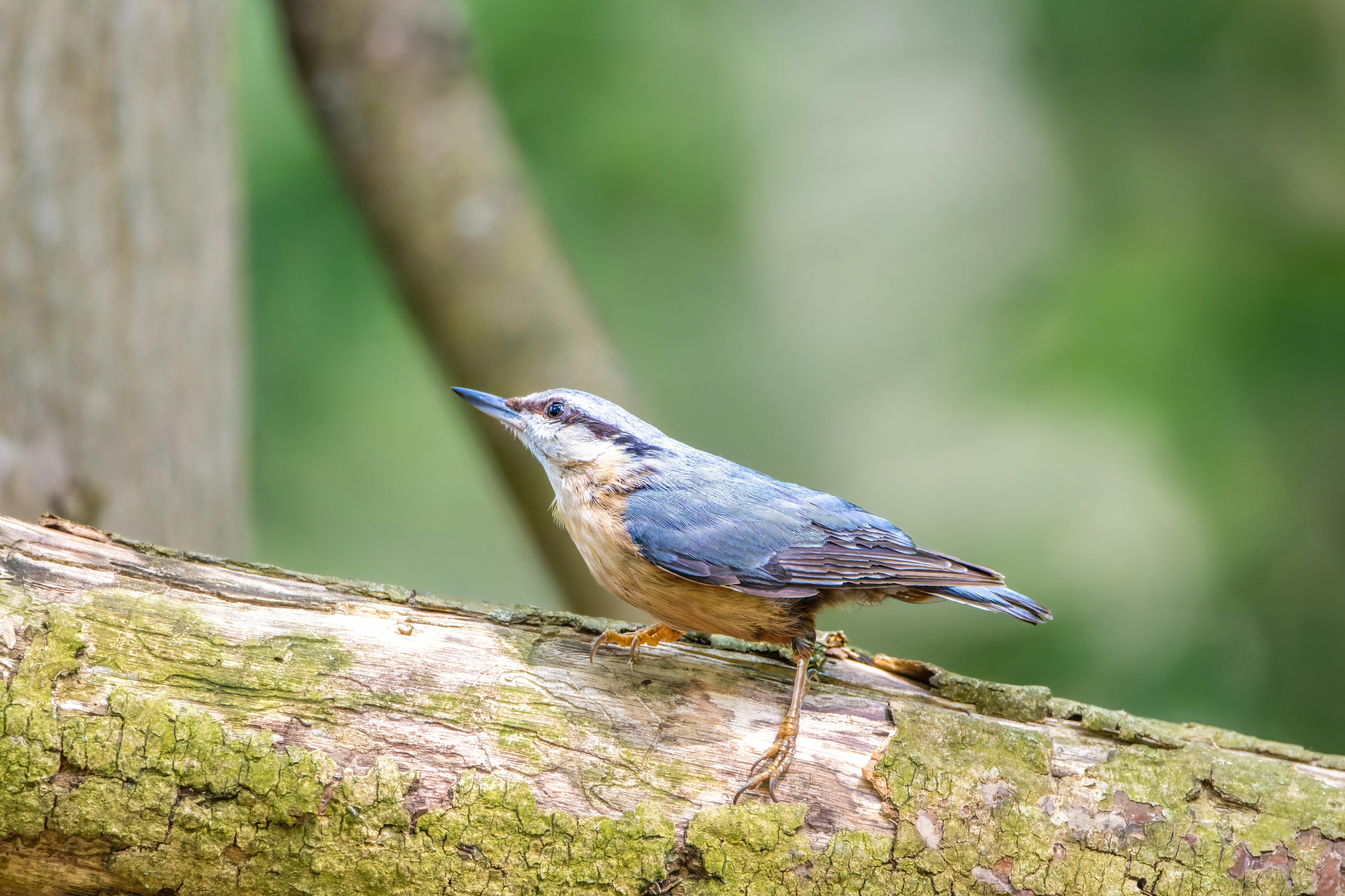 4x6 Background Photos, Download The BEST Free 4x6 Background Stock ...