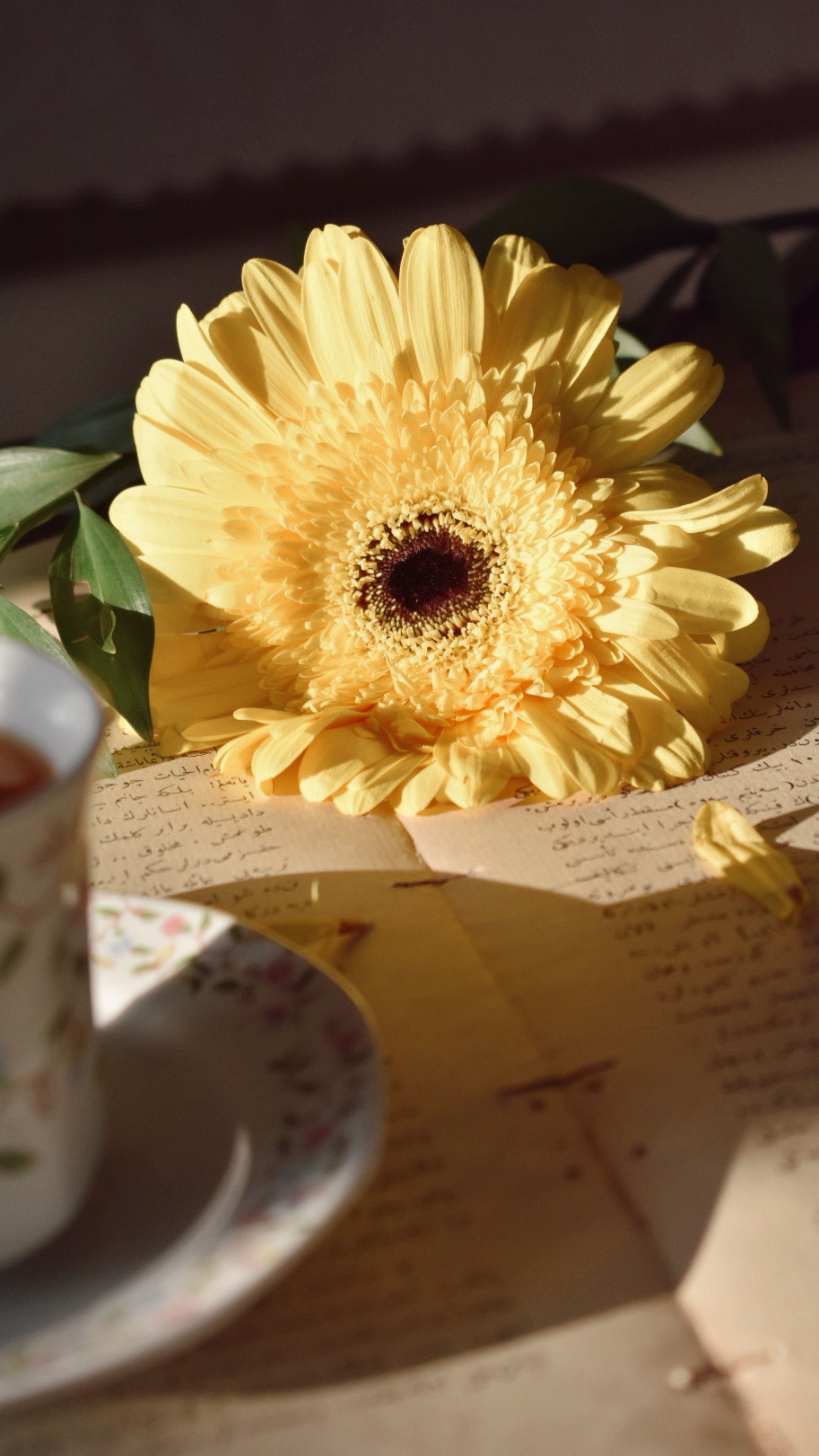 Yellow Flowers And Letters Aesthetic Photos Download The Best Free