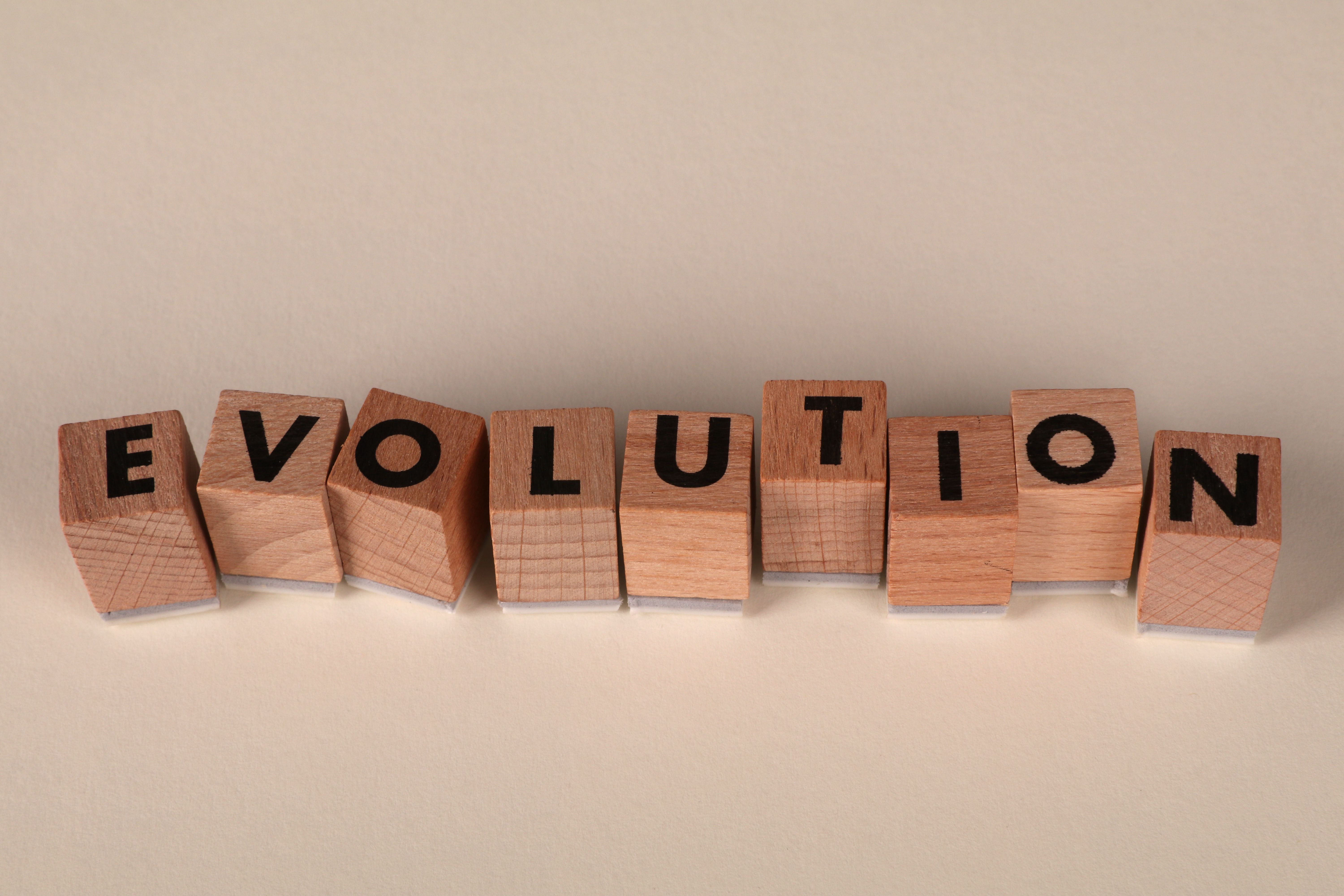 Wooden Blocks Spelling 'Evolution' on Beige Background · Free Stock Photo