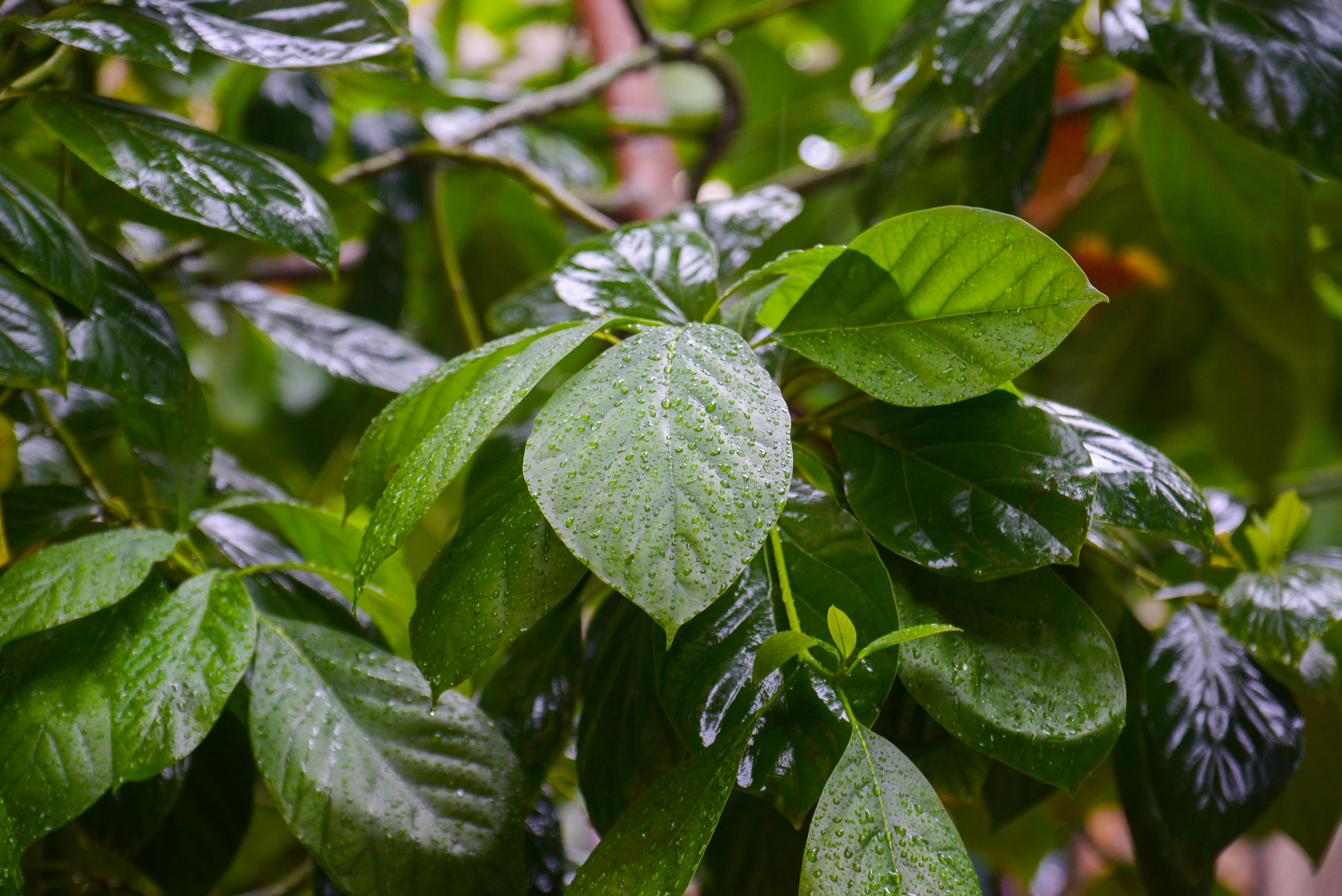 Moisture Texture Photos, Download The BEST Free Moisture Texture Stock ...