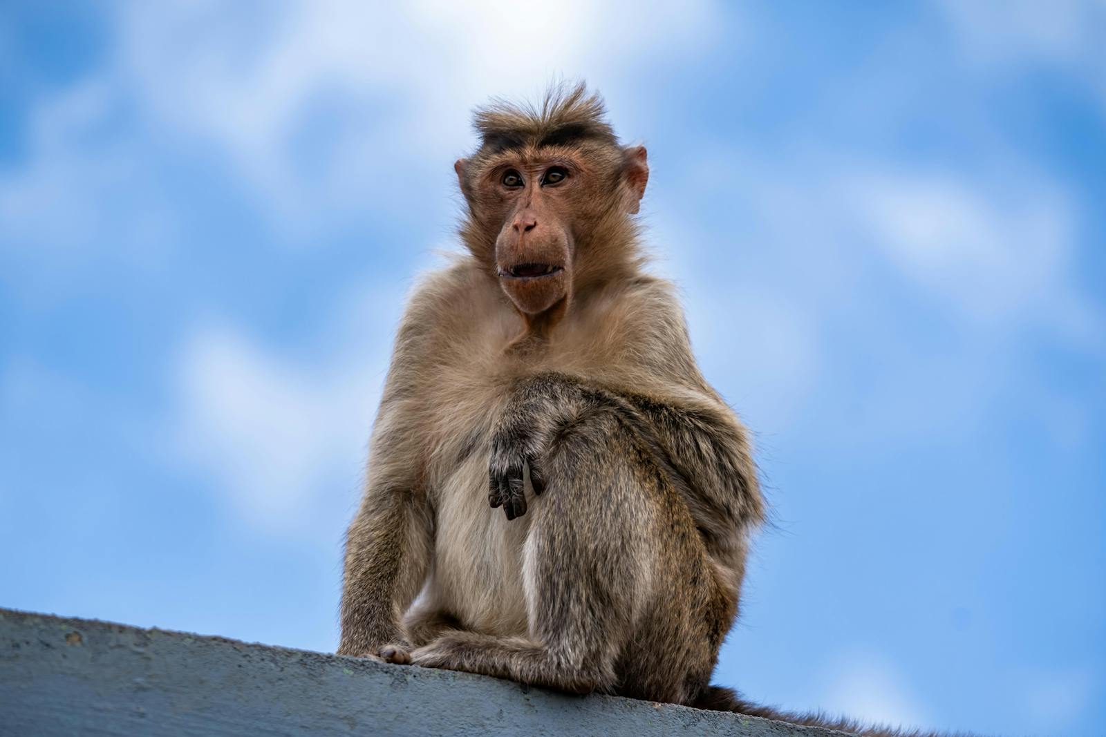 Free Pix Photos, Download The BEST Free Free Pix Stock Photos & HD Images