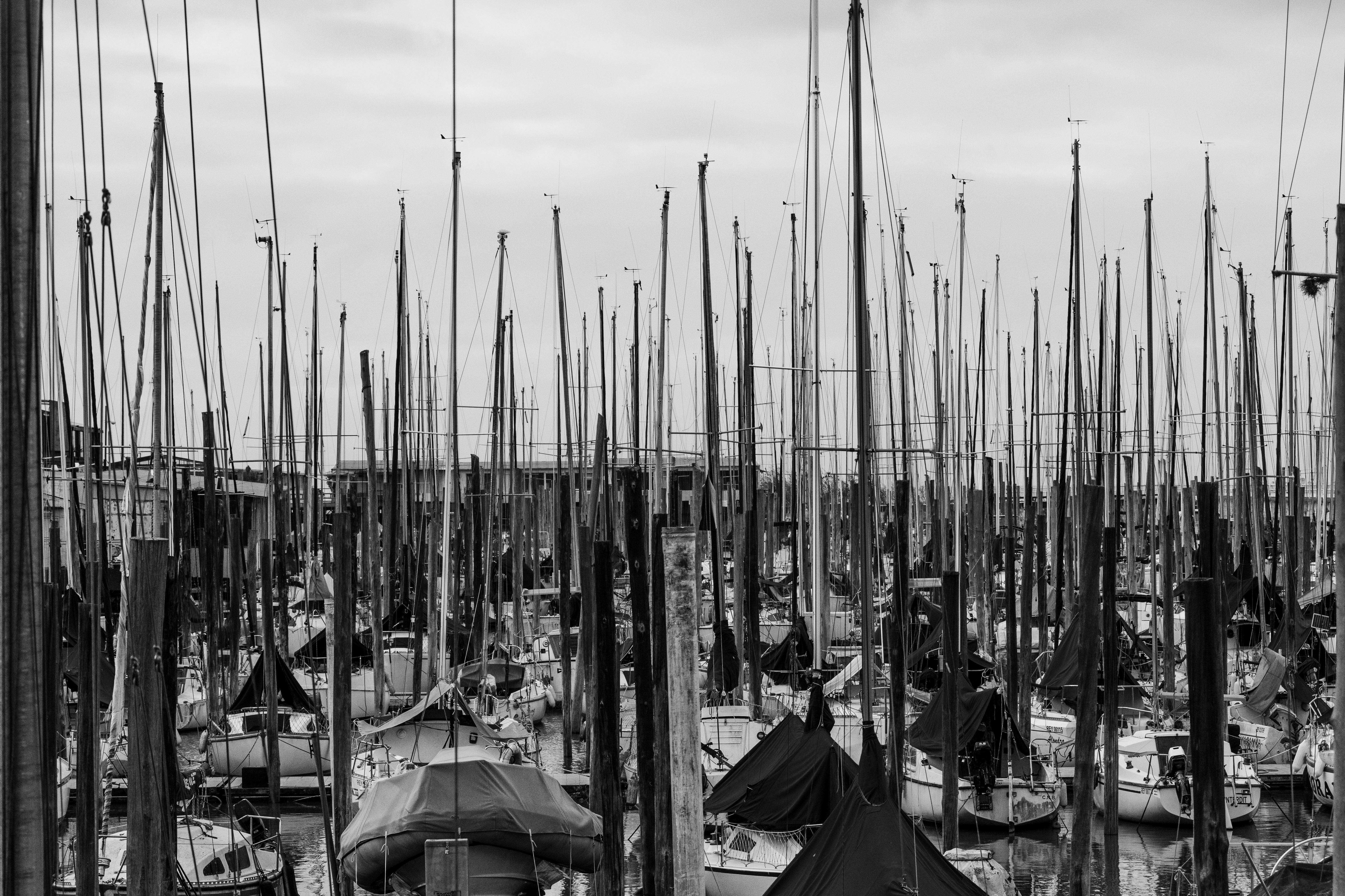 High Contrast Photos, Download The BEST Free High Contrast Stock Photos ...