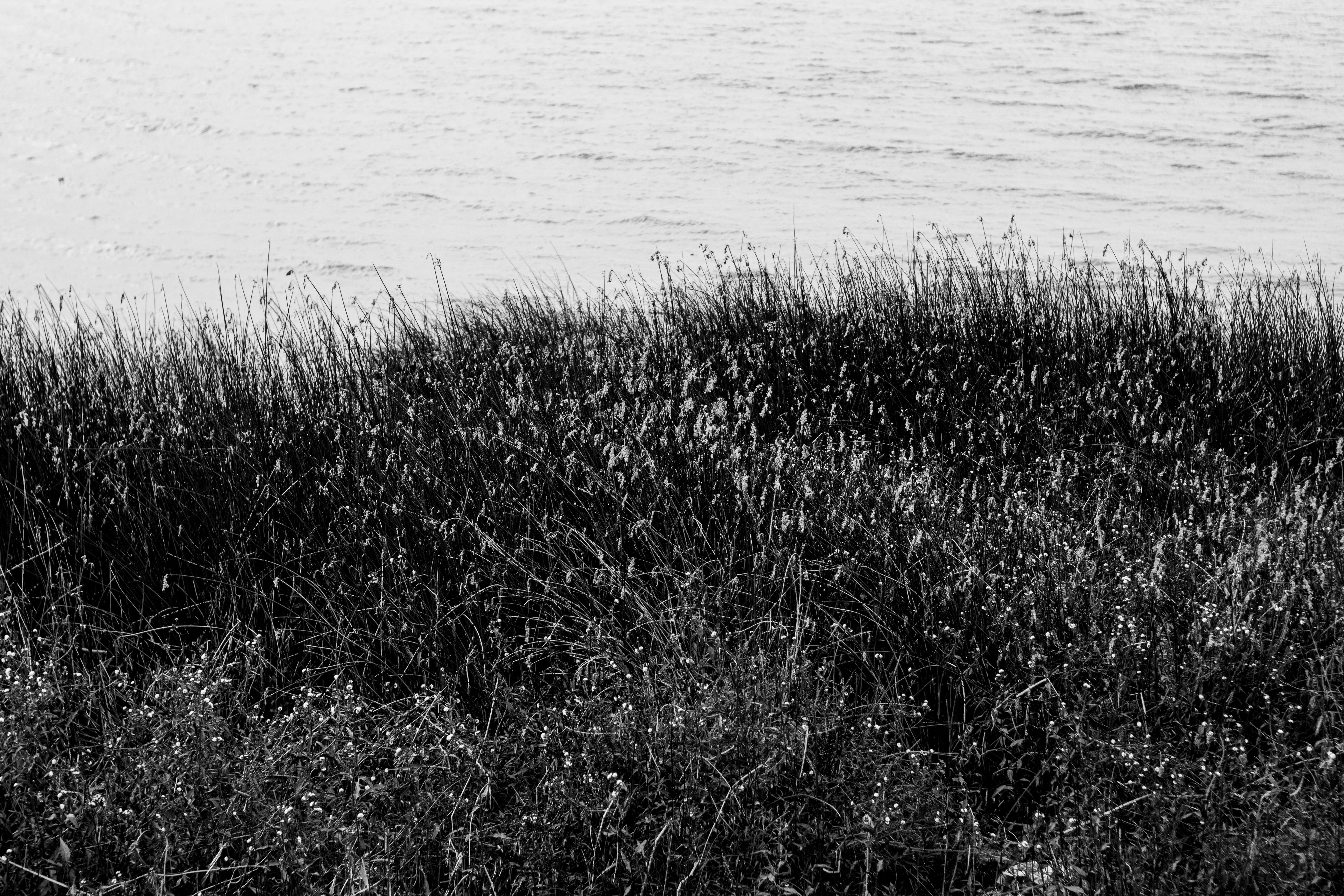 High Contrast Photos, Download The BEST Free High Contrast Stock Photos ...