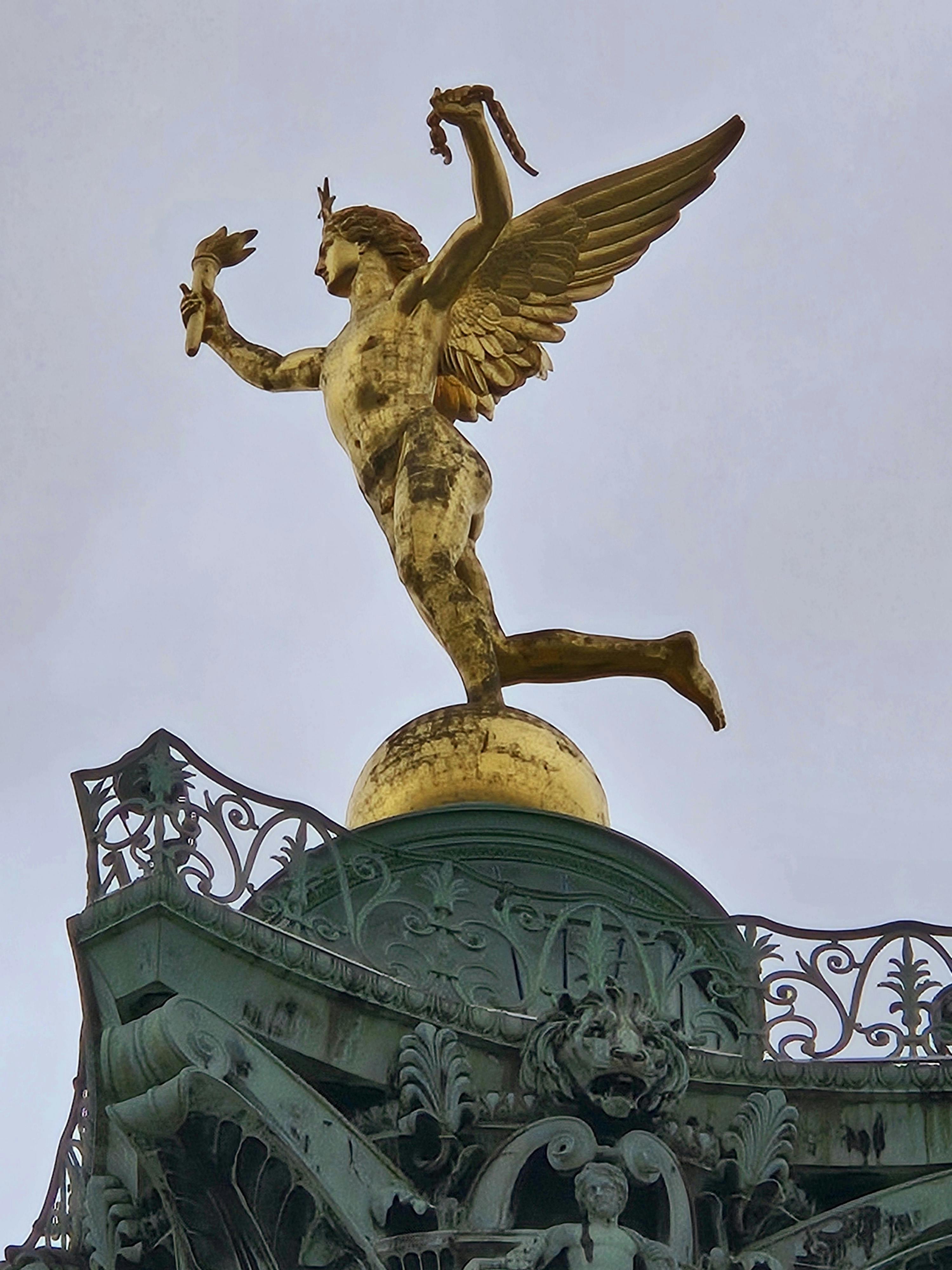 Scroller+Butterfly+Wings Photos, Download The BEST Free Scroller ...