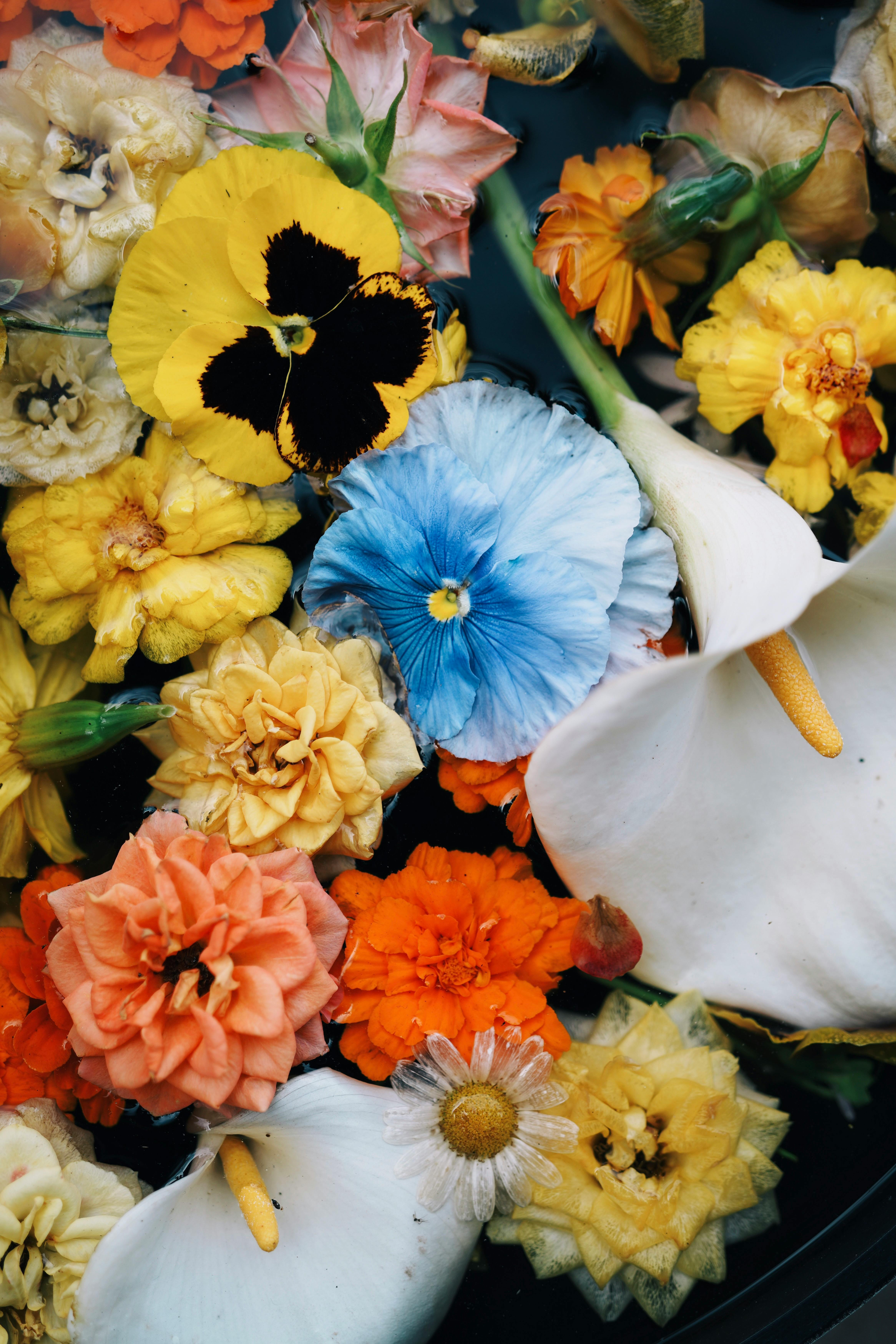 182+ Fotos y Imágenes de 草榴社区【呦呦18uu·cc】qrdiv1t真实轮奸.nt0 Gratis · Banco ...