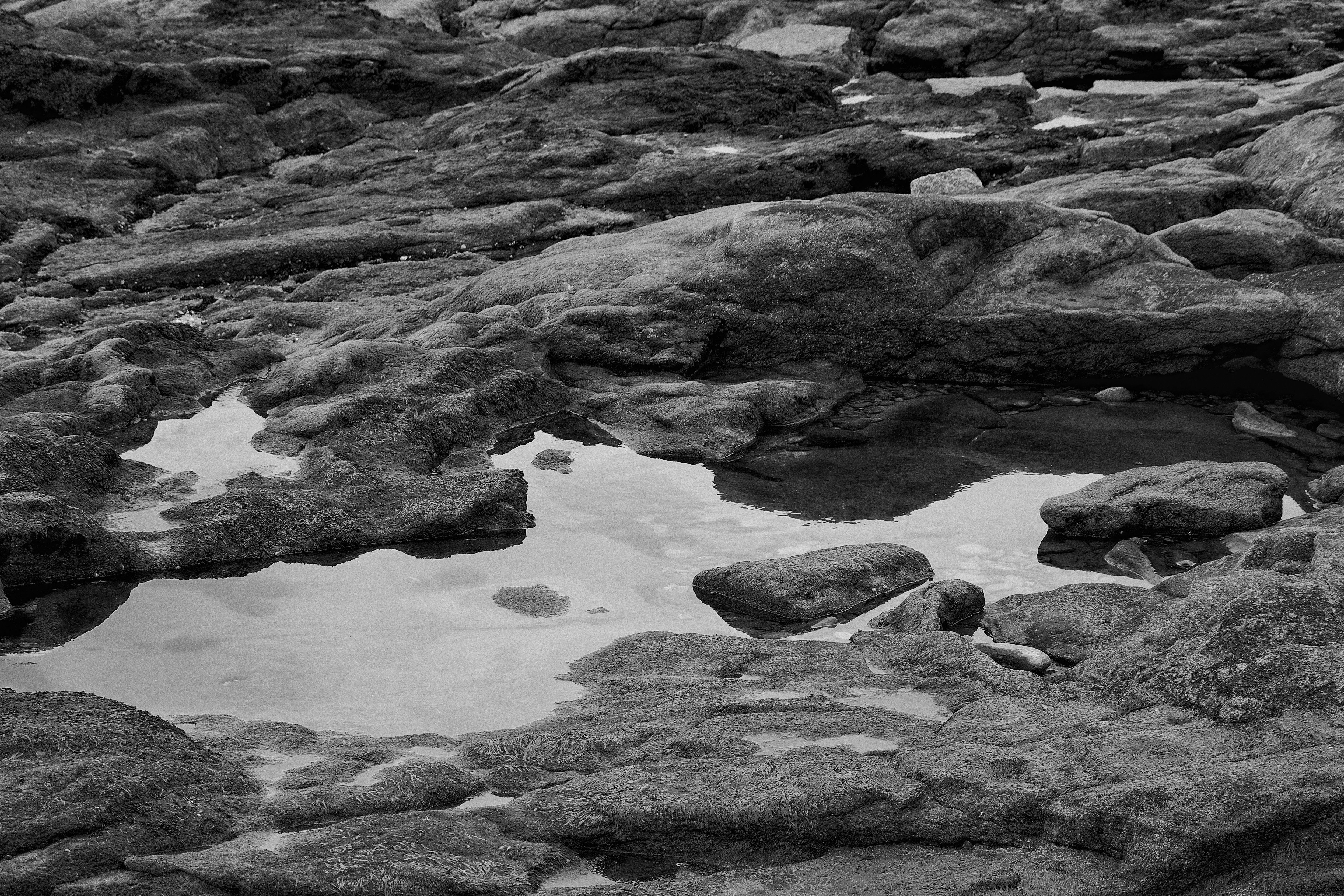 Black and White Rocky Shoreline with Water Puddles · Free Stock Photo