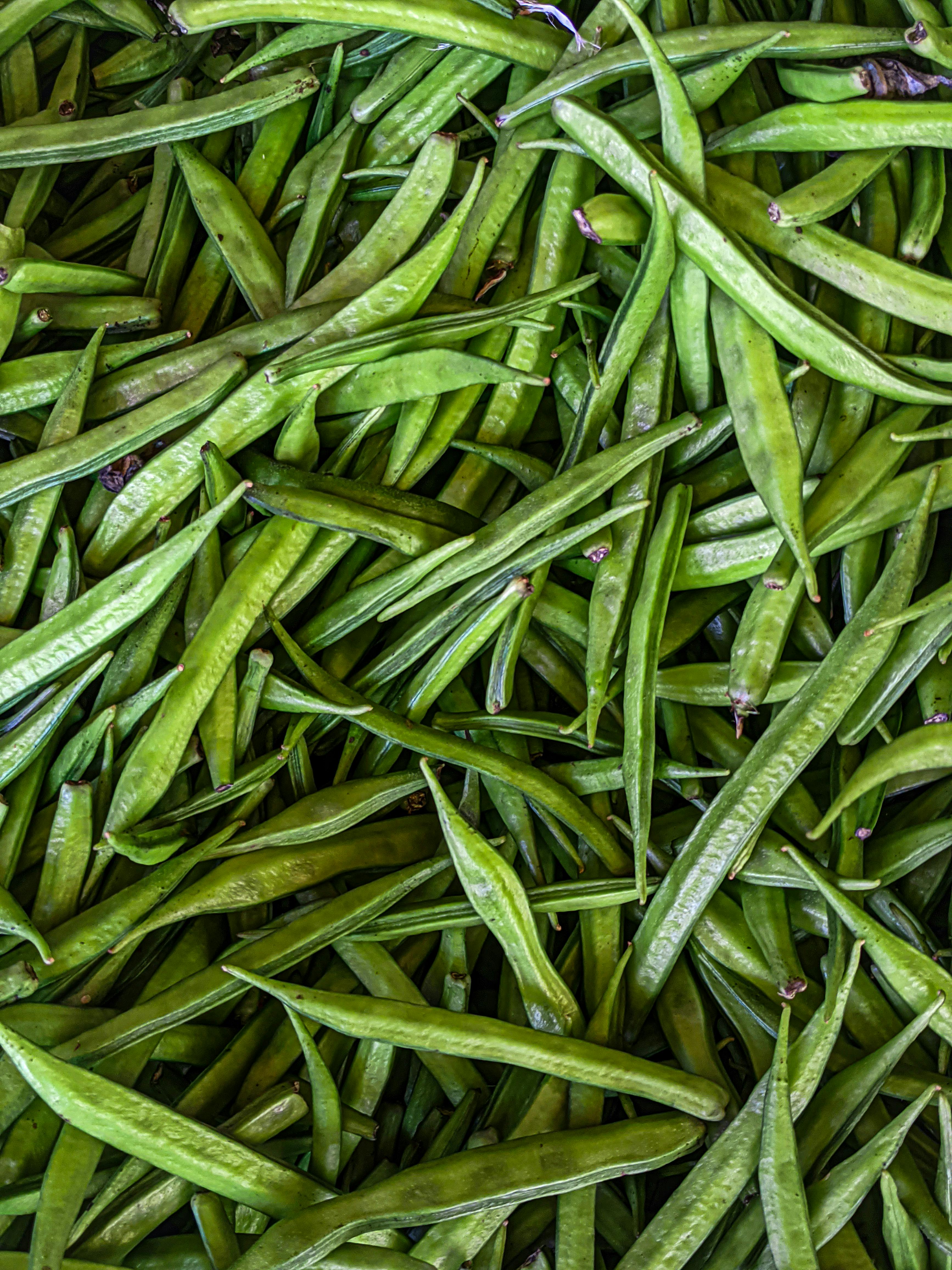 Parda Background Photos, Download The BEST Free Parda Background Stock ...