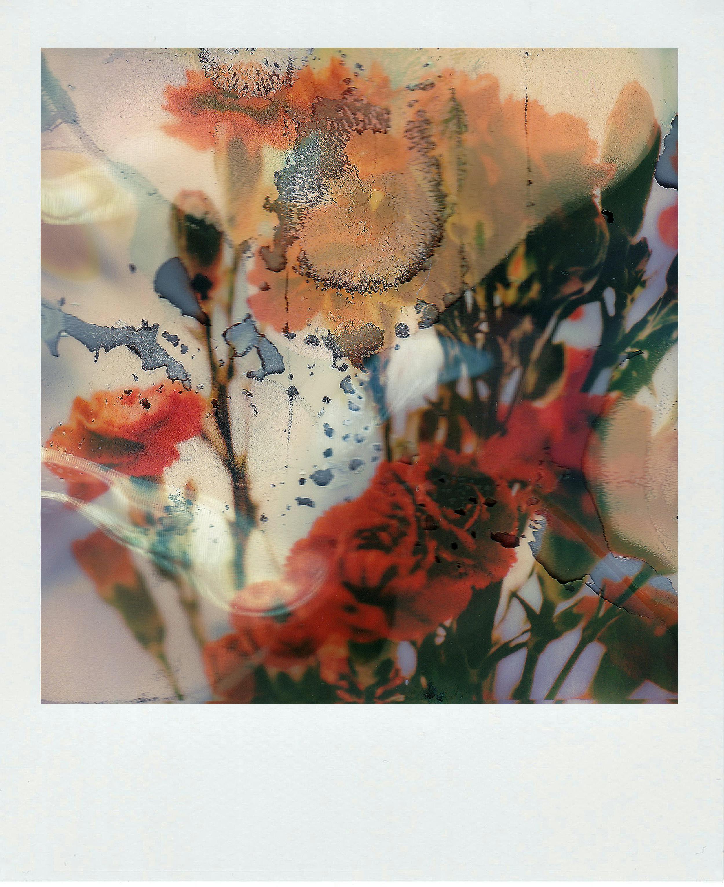 Art+Modeling+Studio+Set+Imxto Photos, Download The BEST Free Art ...