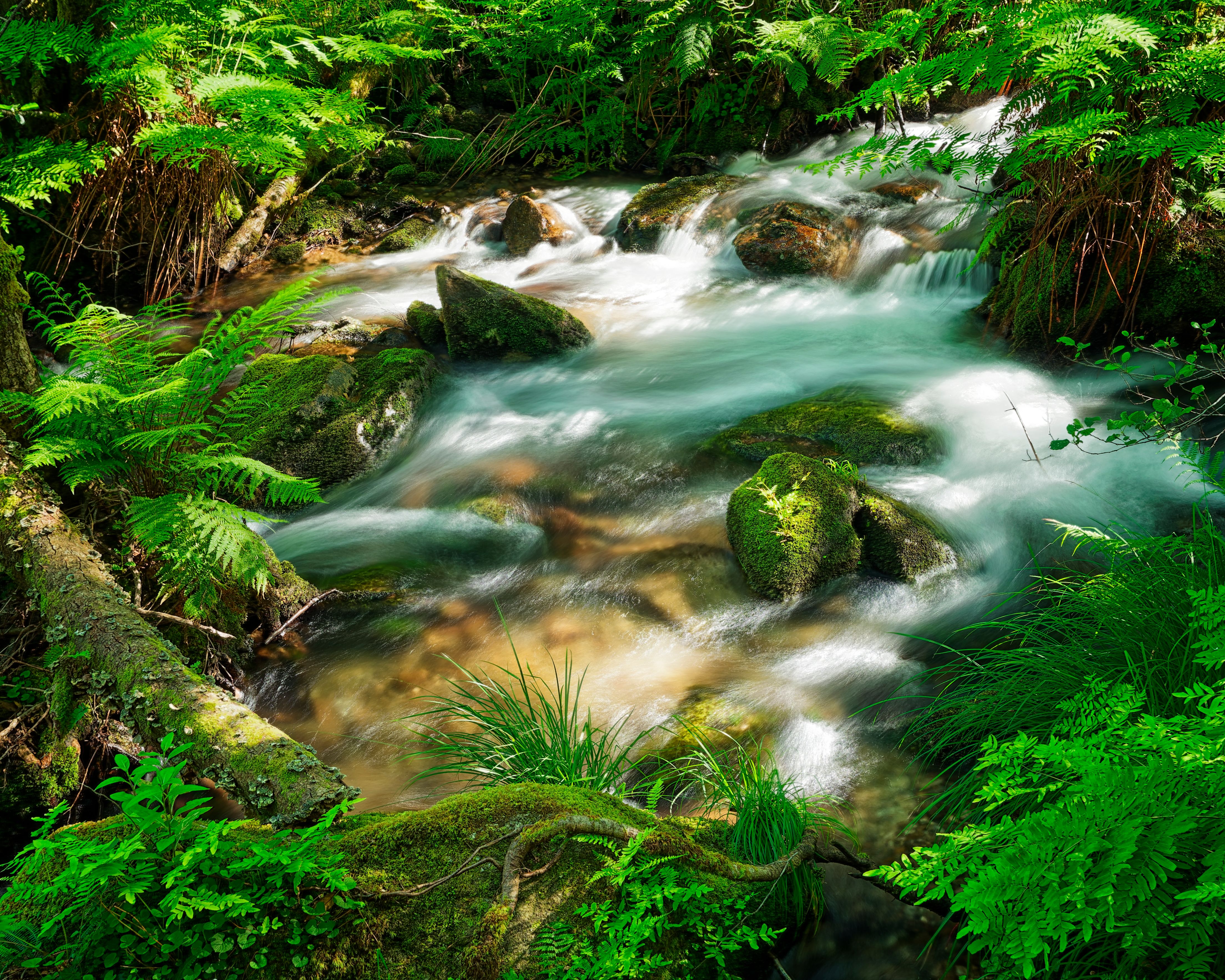 Relaxing Creek Photos, Download The BEST Free Relaxing Creek Stock ...