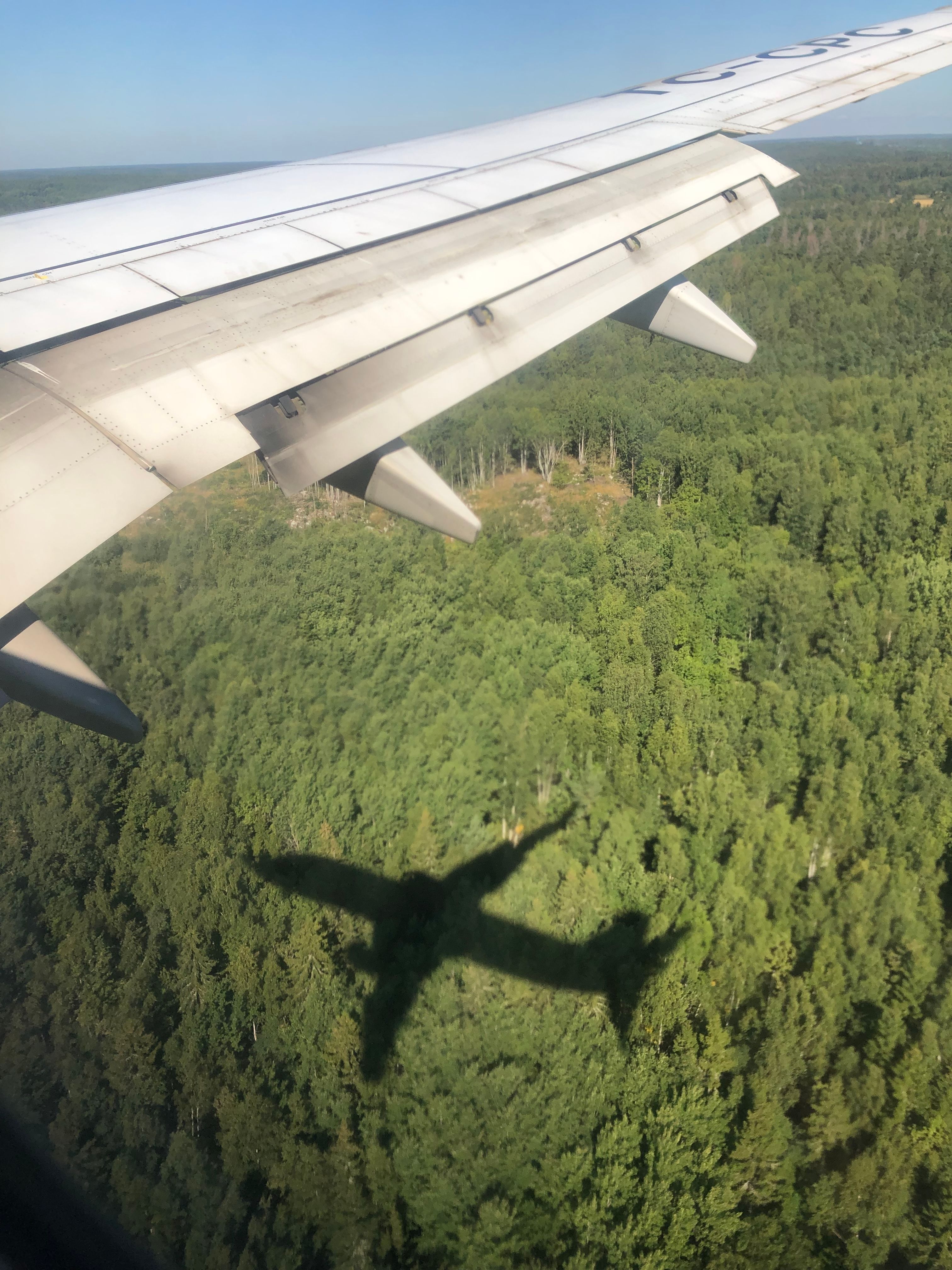 Airplane Wing Over Forest with Shadow View · Free Stock Photo