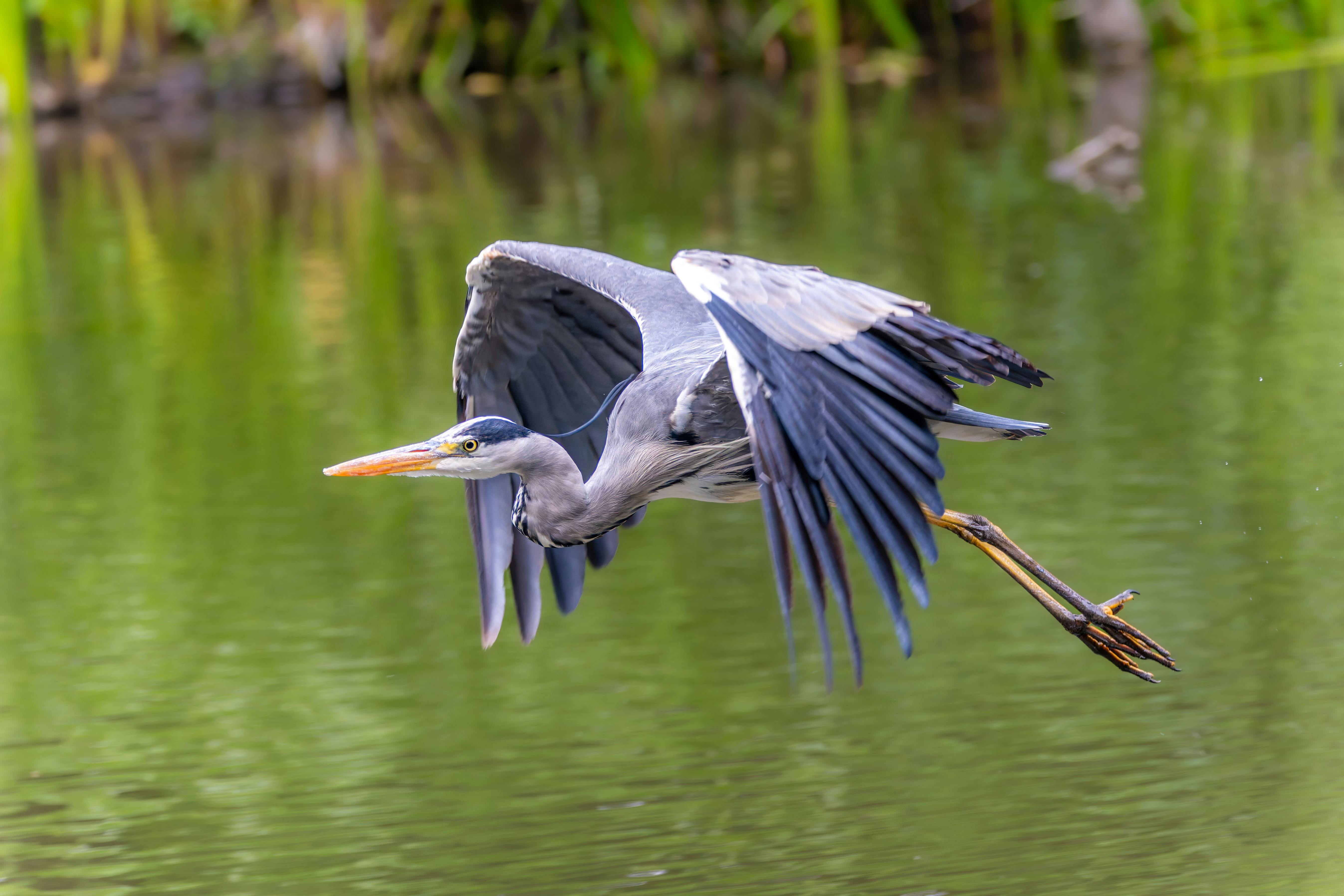 Capgemini+Wallpaper Photos, Download The BEST Free Capgemini+Wallpaper ...