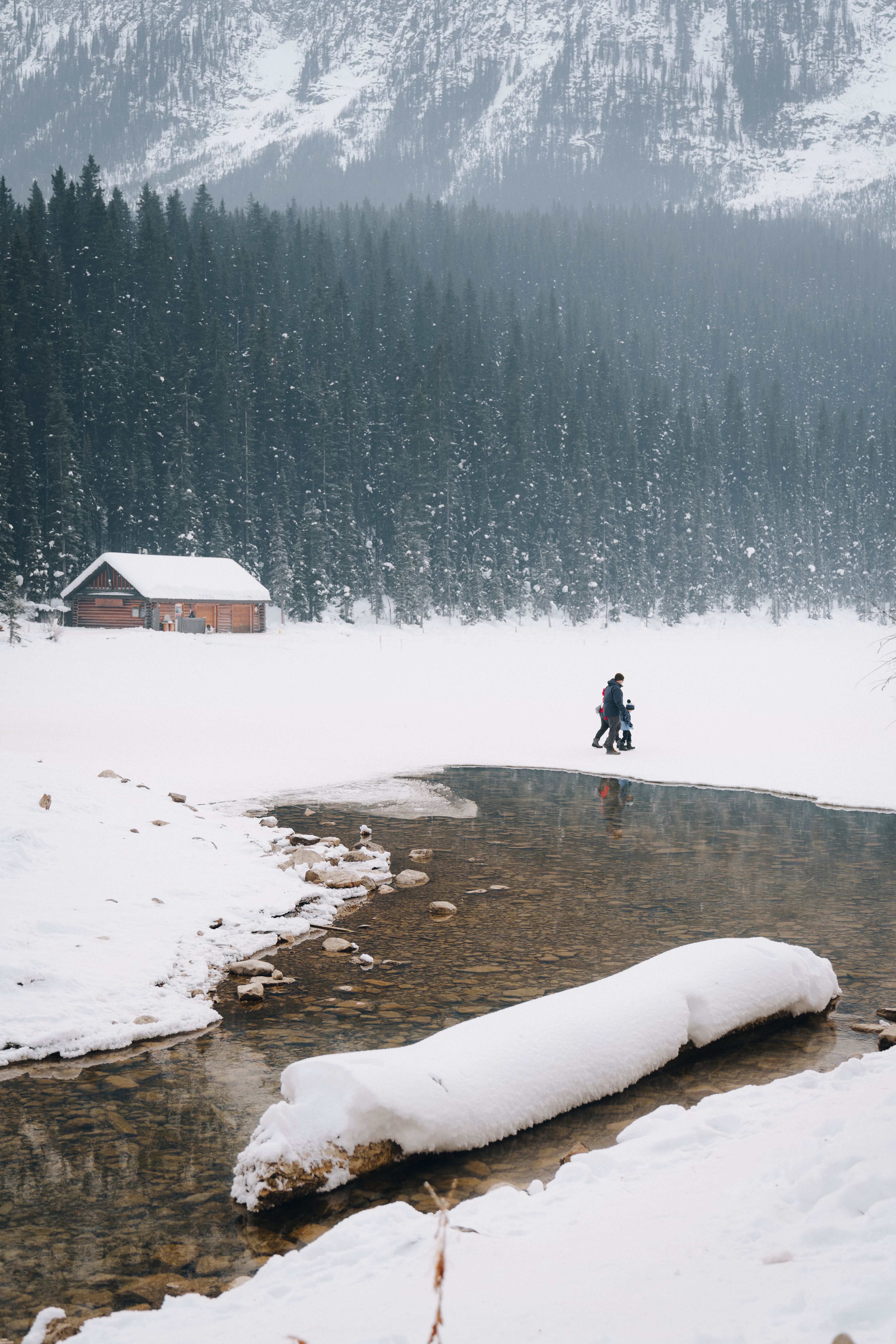 Winter Hike in Snowy Alberta Landscape · Free Stock Photo