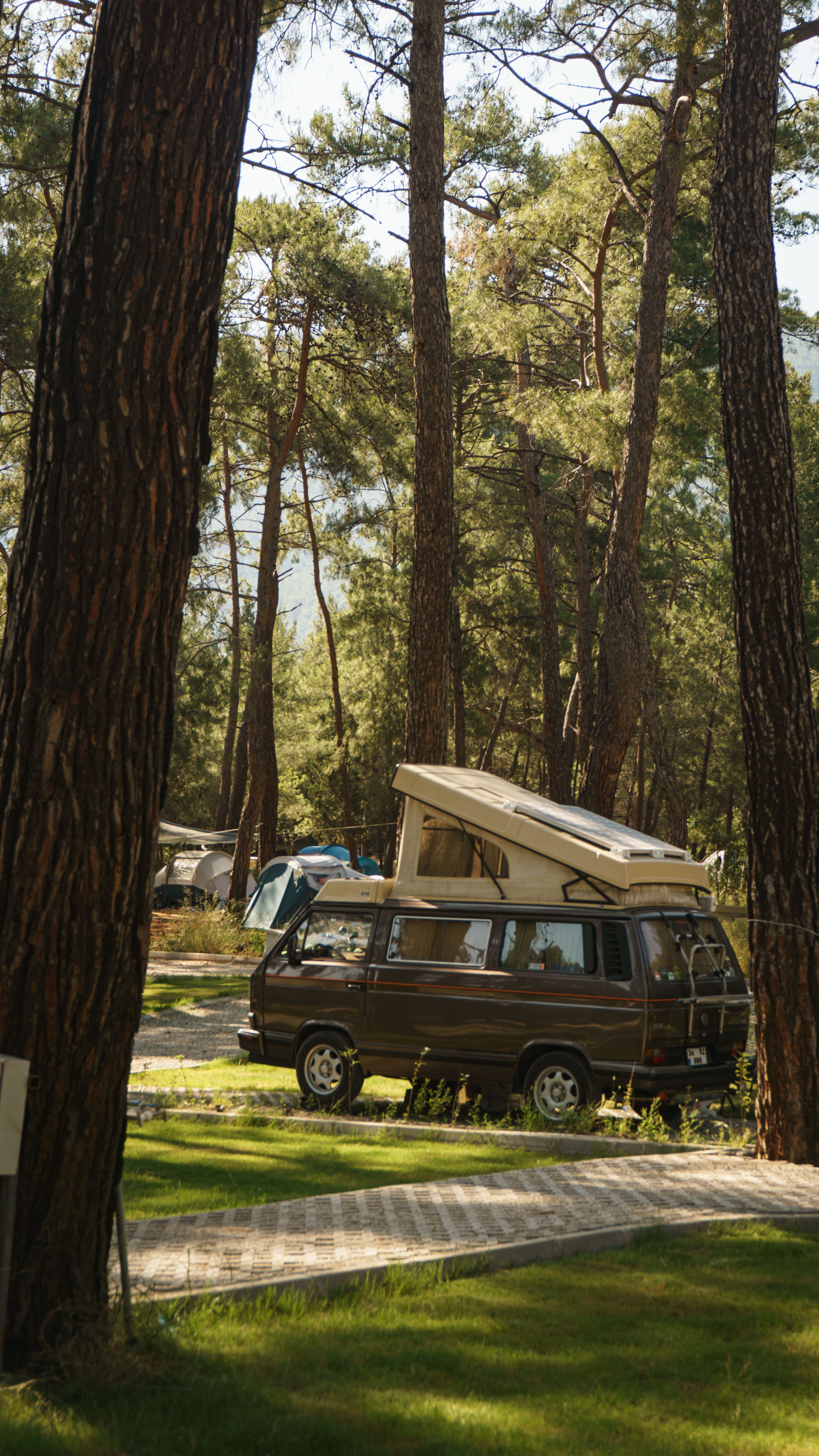 Camper Van in Forested Camping Site · Free Stock Photo