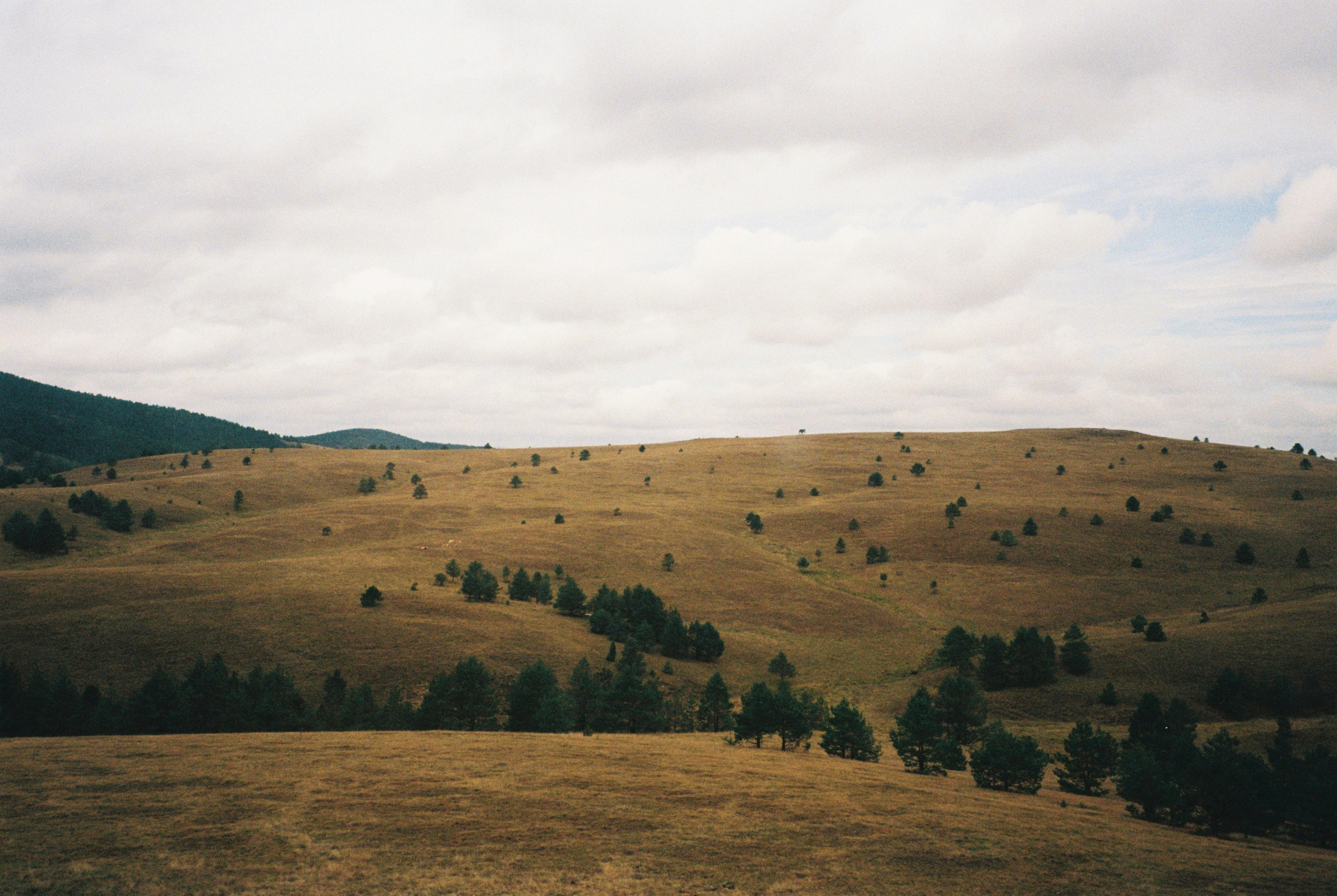 Parda Background Photos, Download The BEST Free Parda Background Stock ...