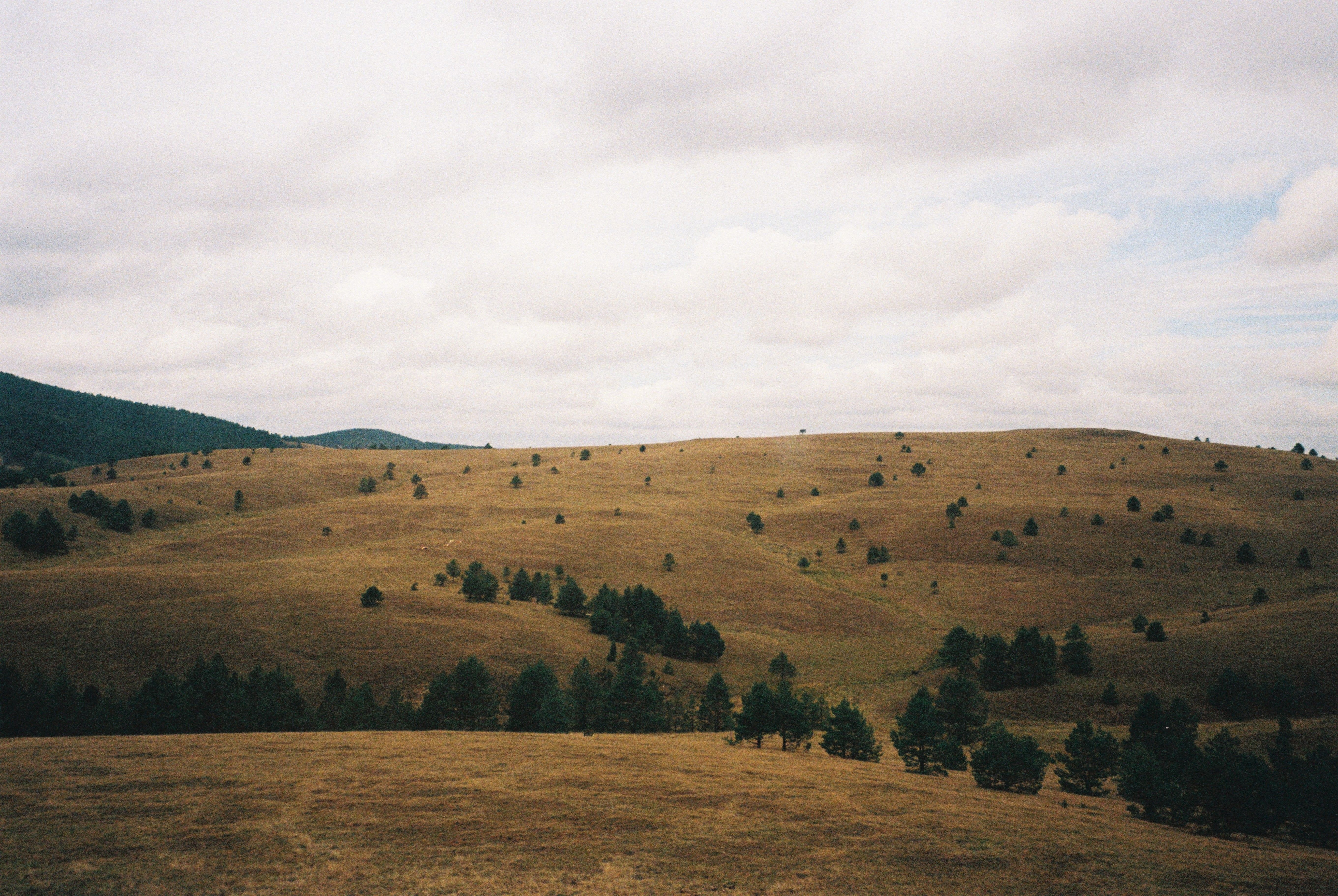 Plain Backgrounds Sky Photos, Download The BEST Free Plain Backgrounds ...