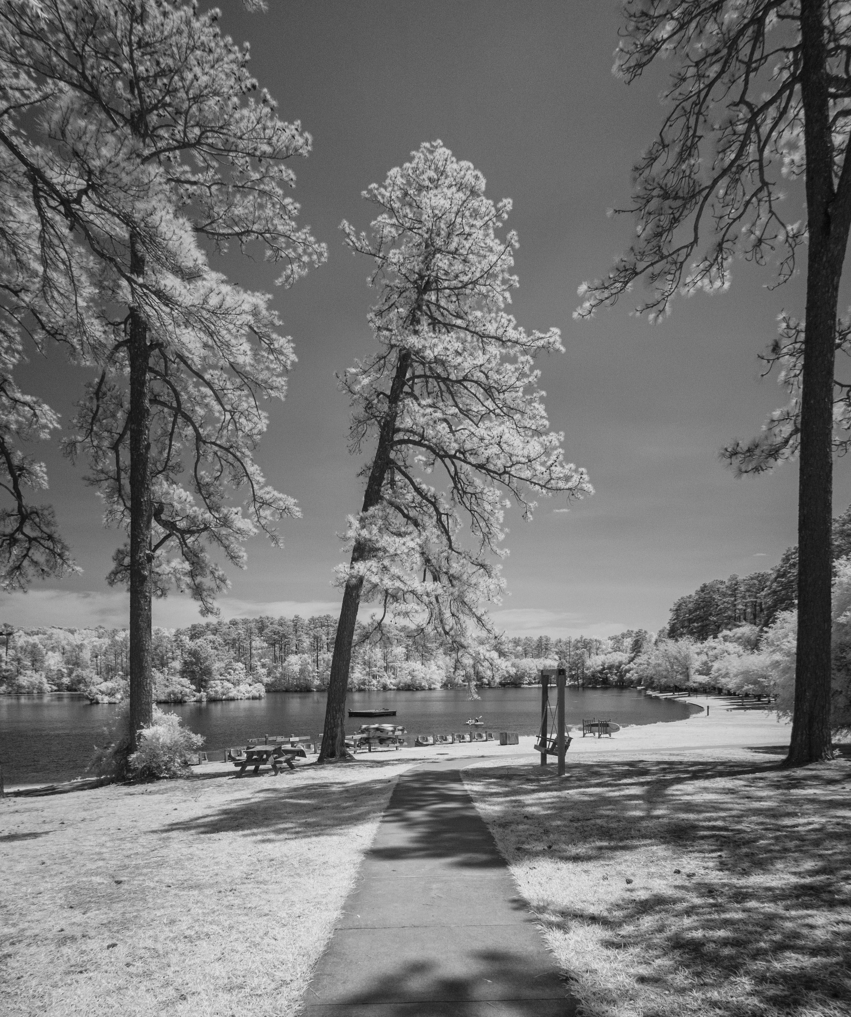 Dreamy Landscape Photos, Download The BEST Free Dreamy Landscape Stock ...