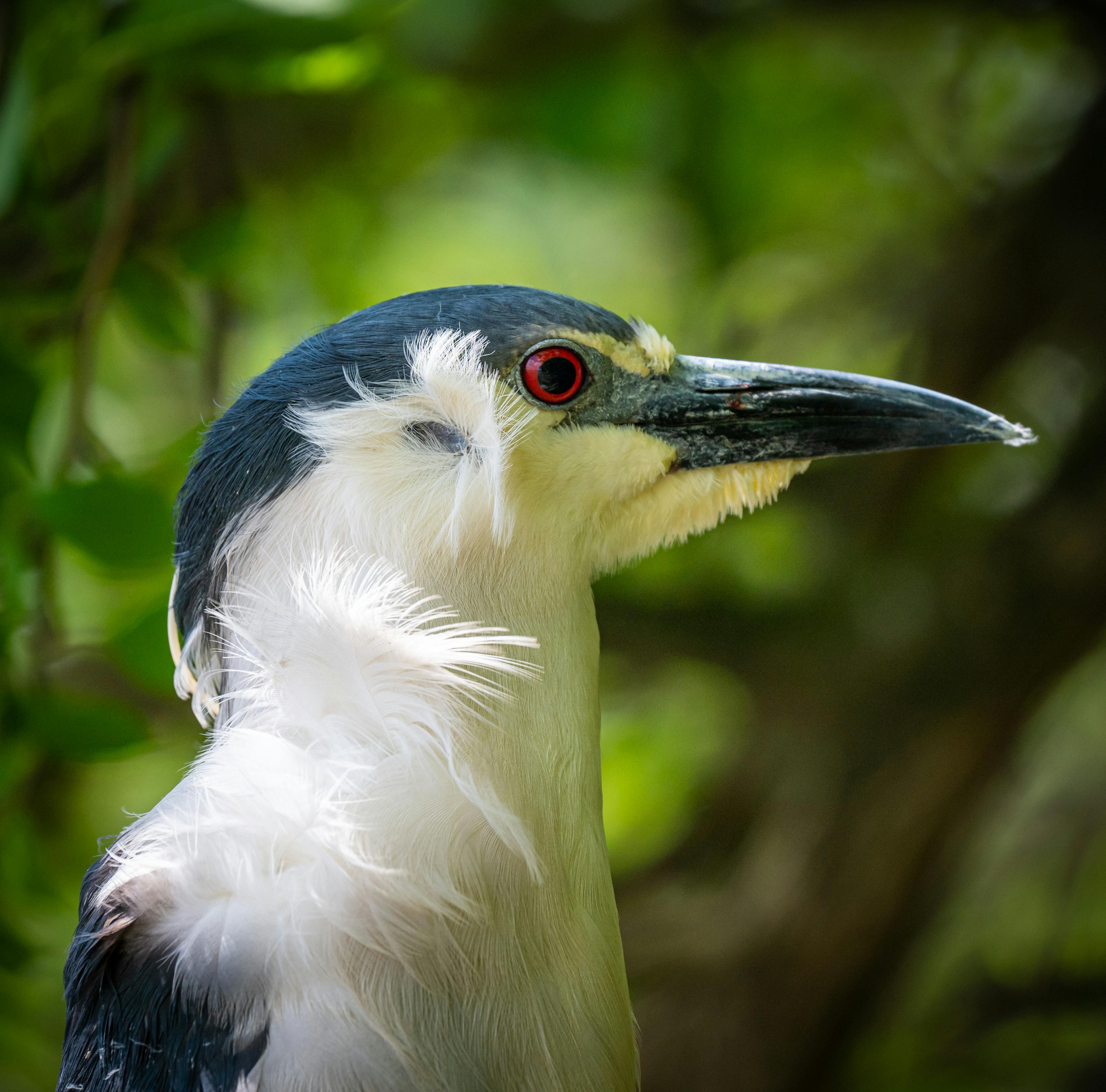 Creature Photos, Download The BEST Free Creature Stock Photos & HD Images