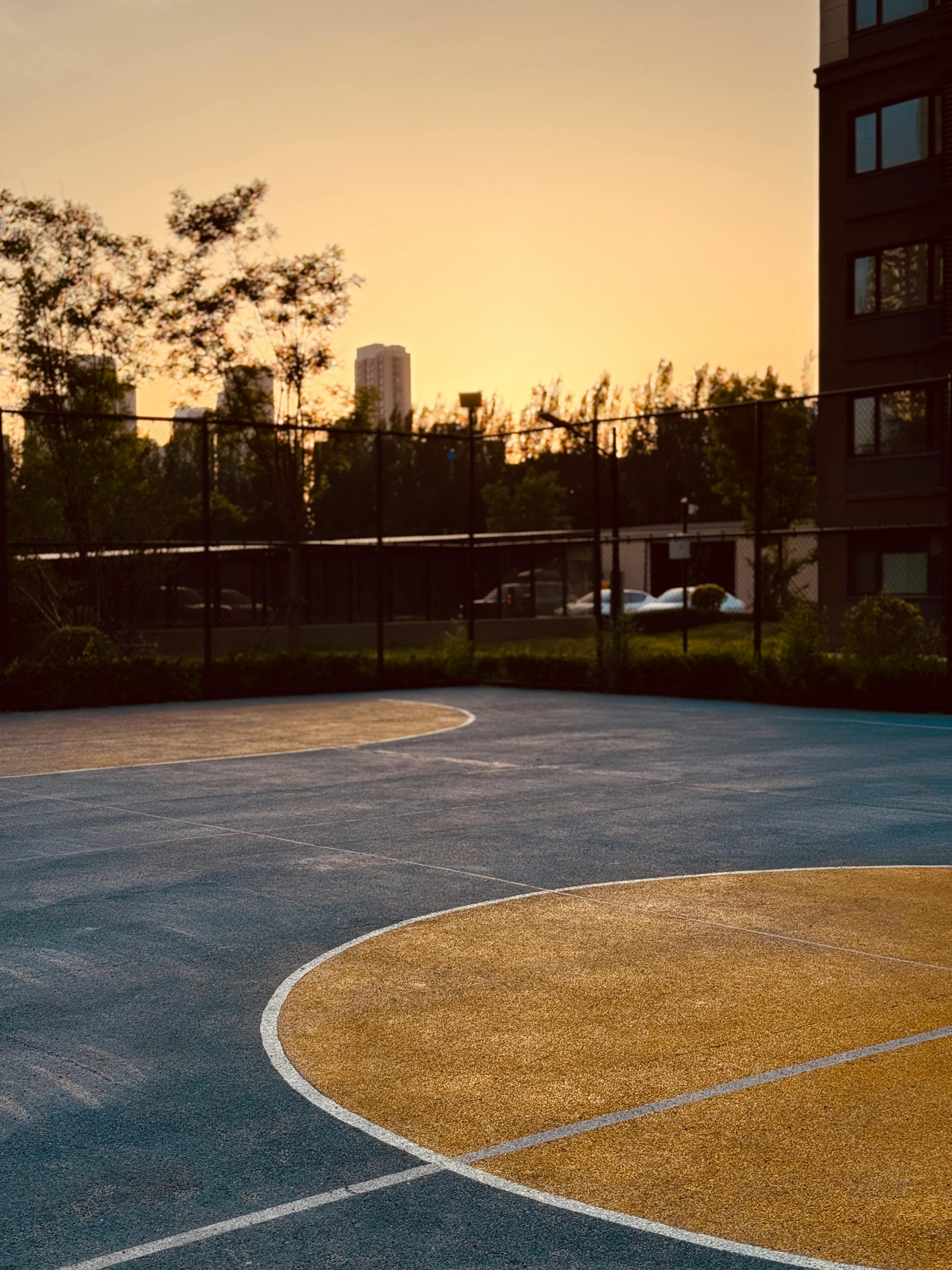 Basketball Pfp Photos, Download The BEST Free Basketball Pfp Stock ...