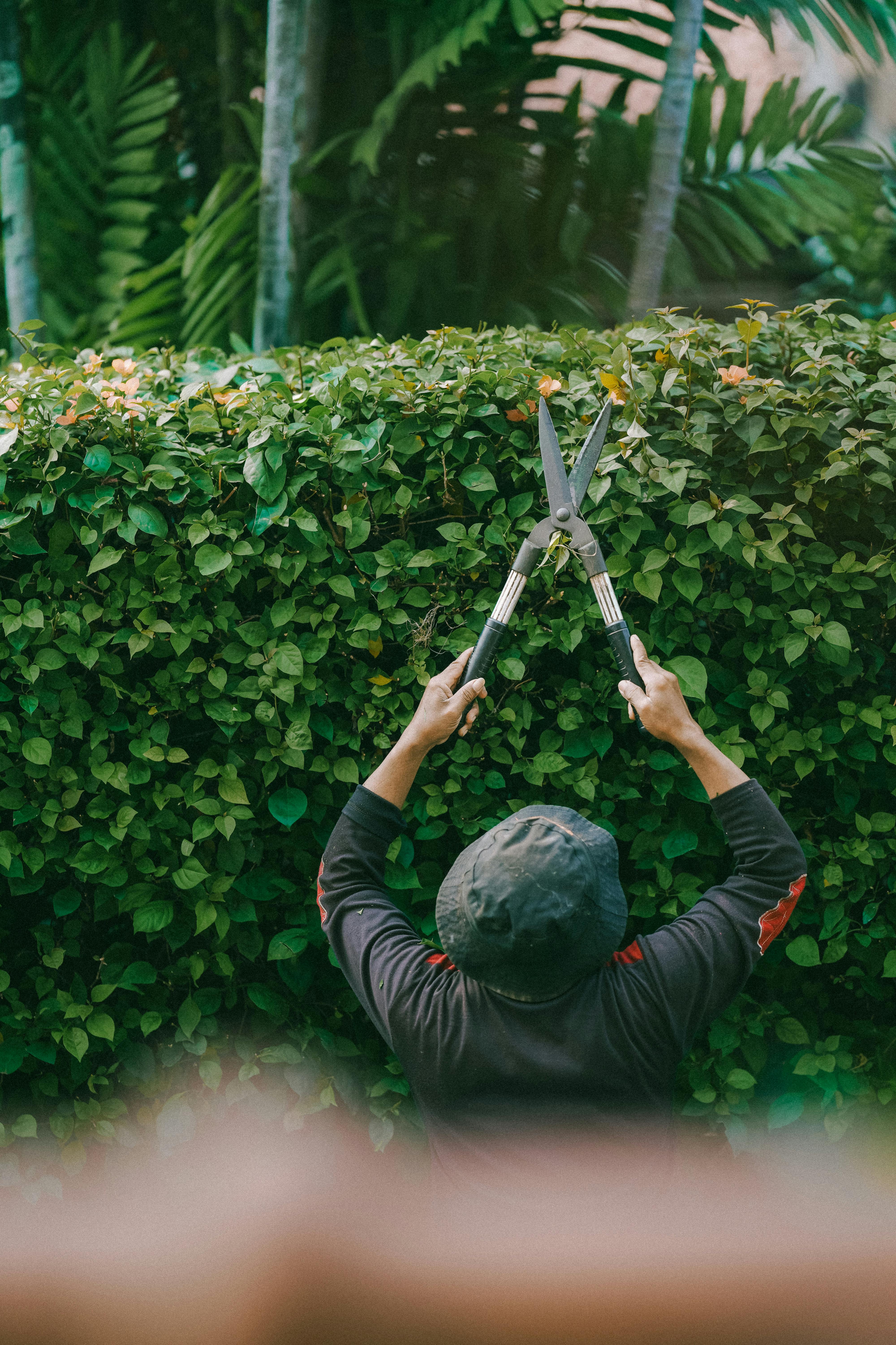 Tools Nature Photos, Download The BEST Free Tools Nature Stock Photos ...