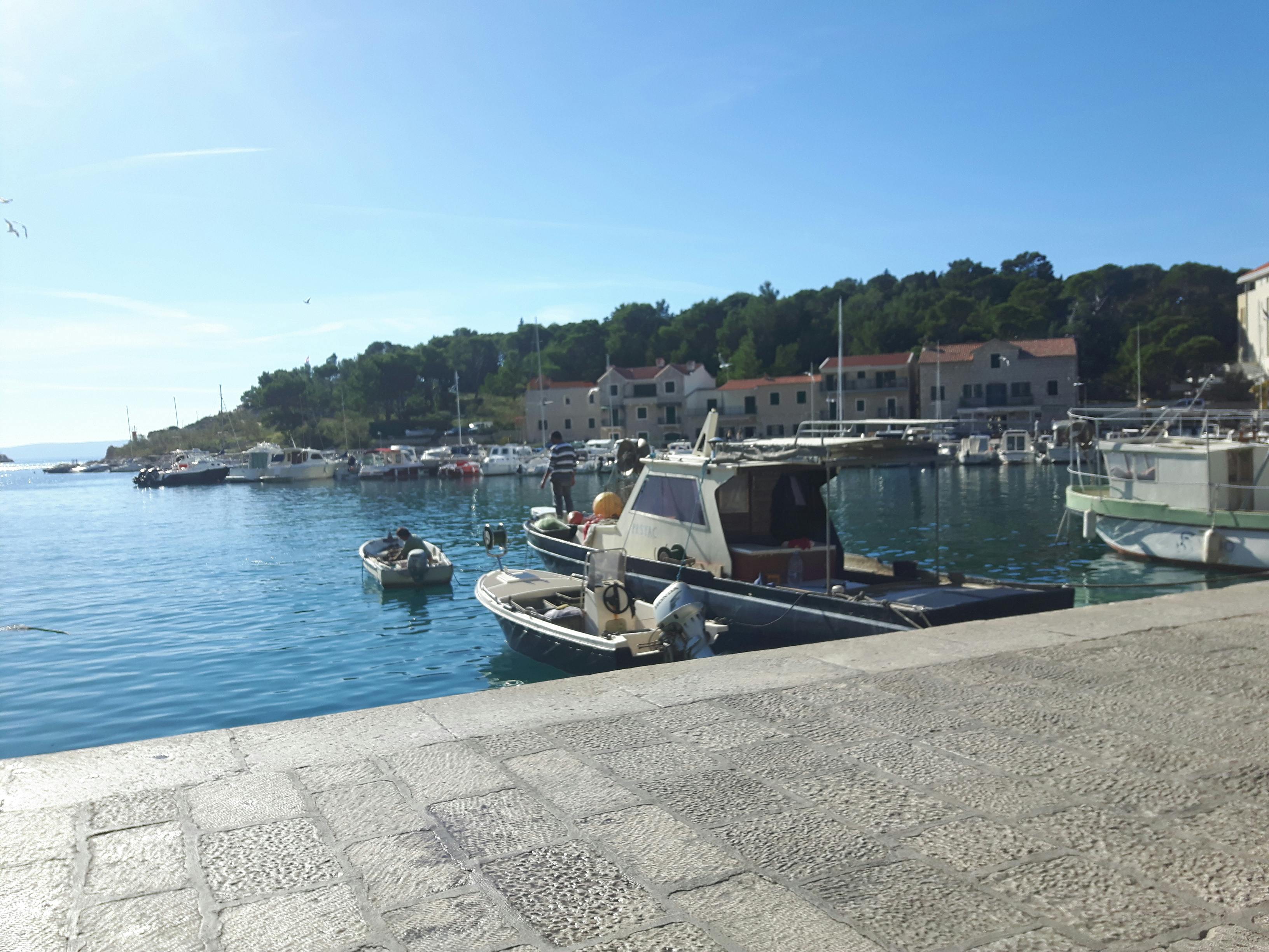 Free stock photo of harbour, riva