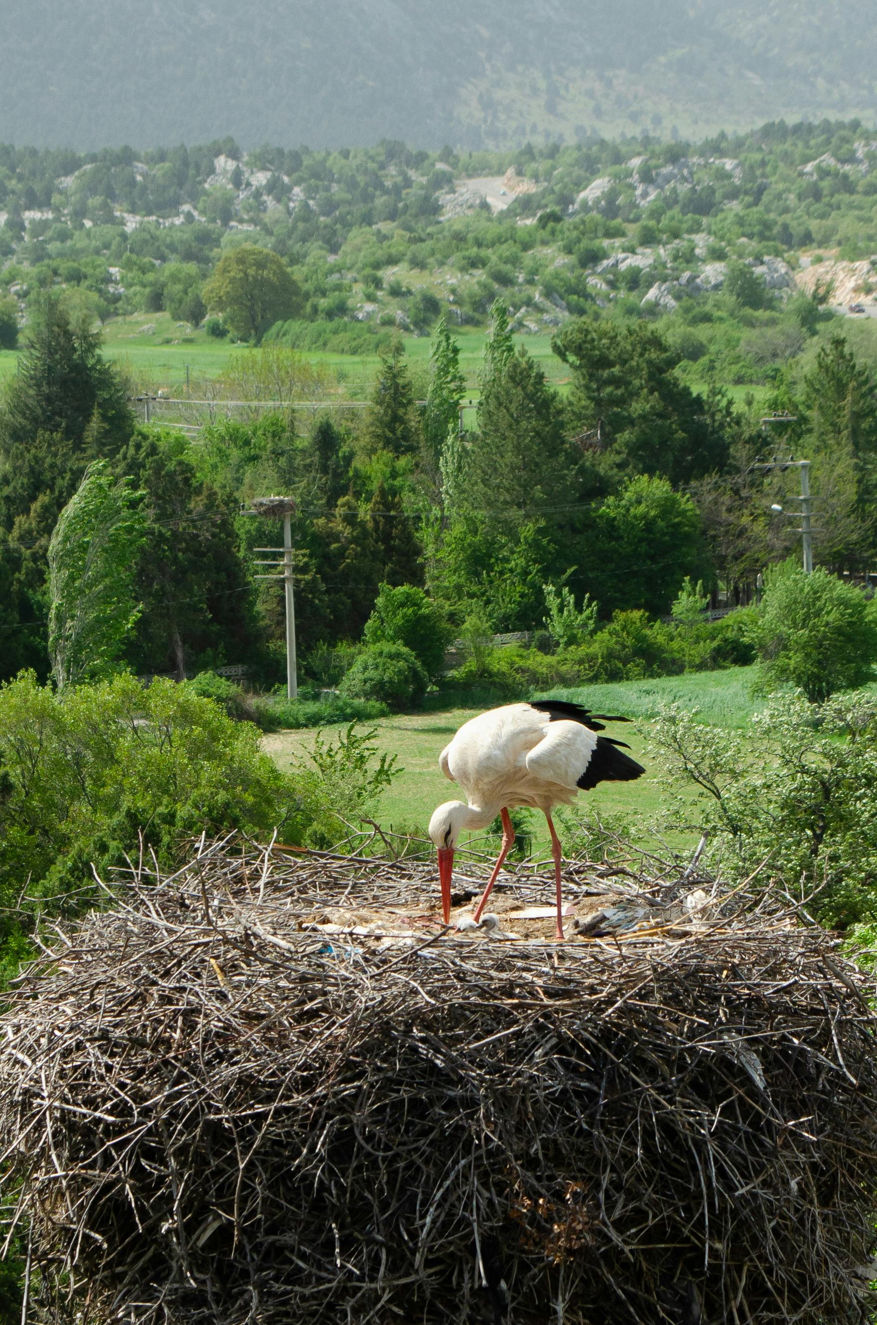 Wish Photos, Download The BEST Free Wish Stock Photos & HD Images